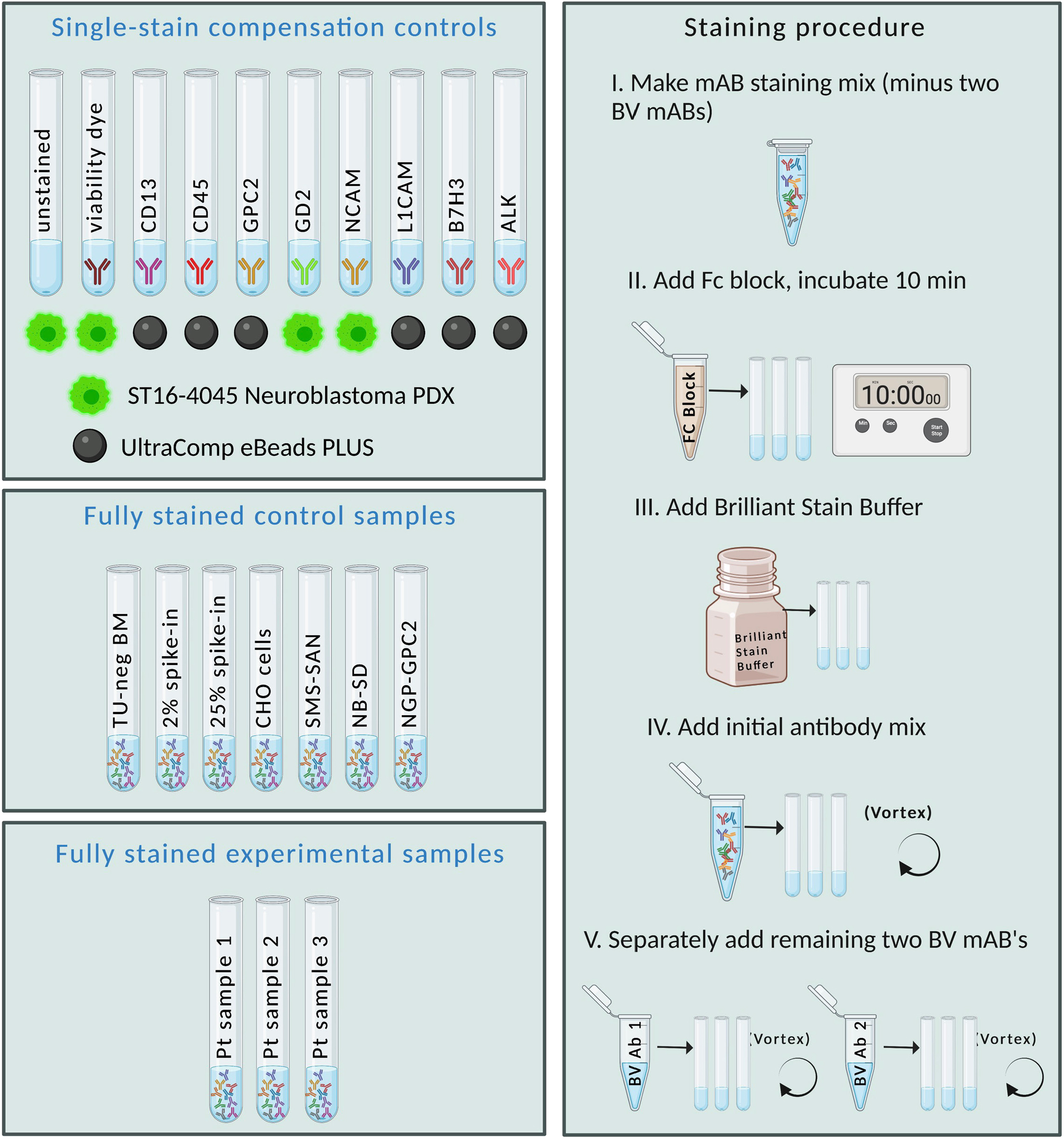Cell Press: STAR Protocols