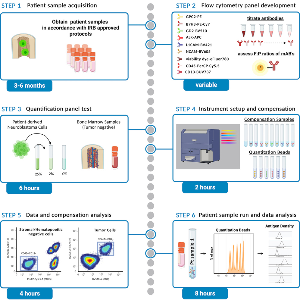 Cell Press: STAR Protocols