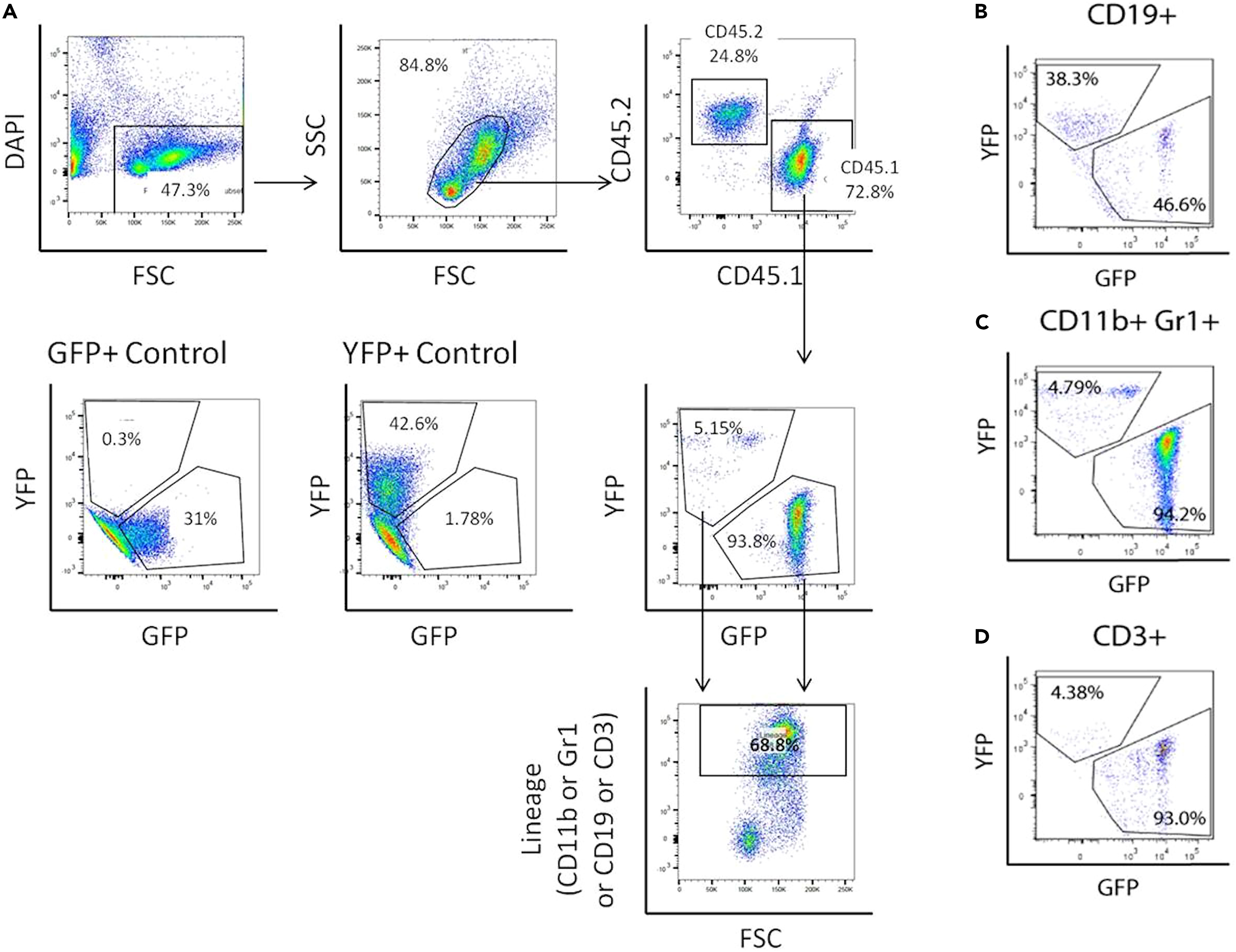 Cell Press: STAR Protocols