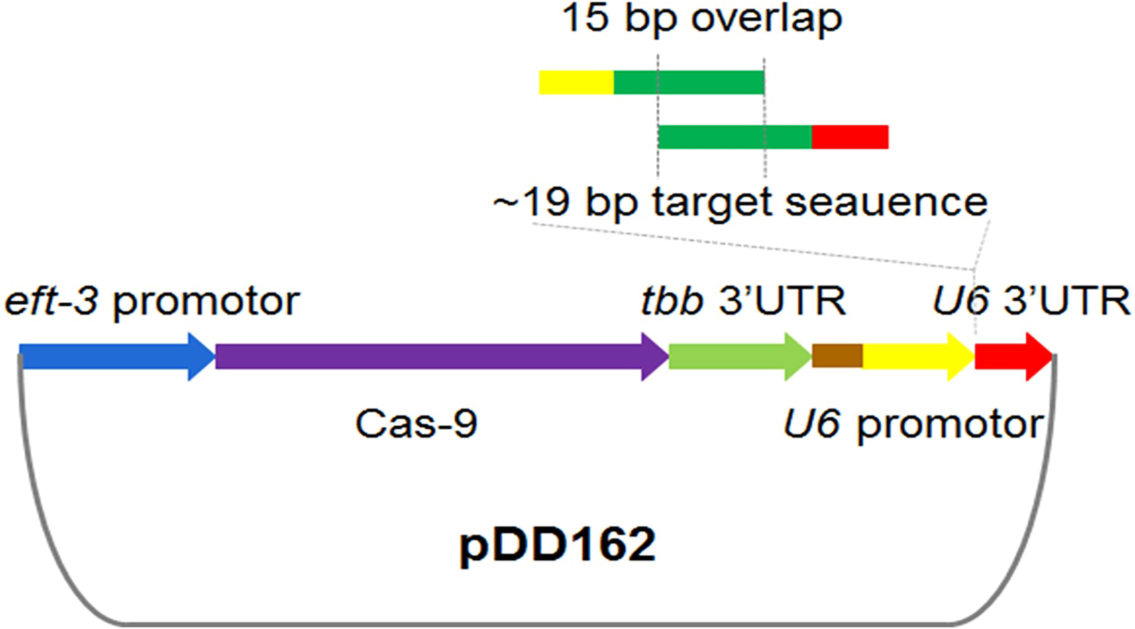 Cell Press: STAR Protocols