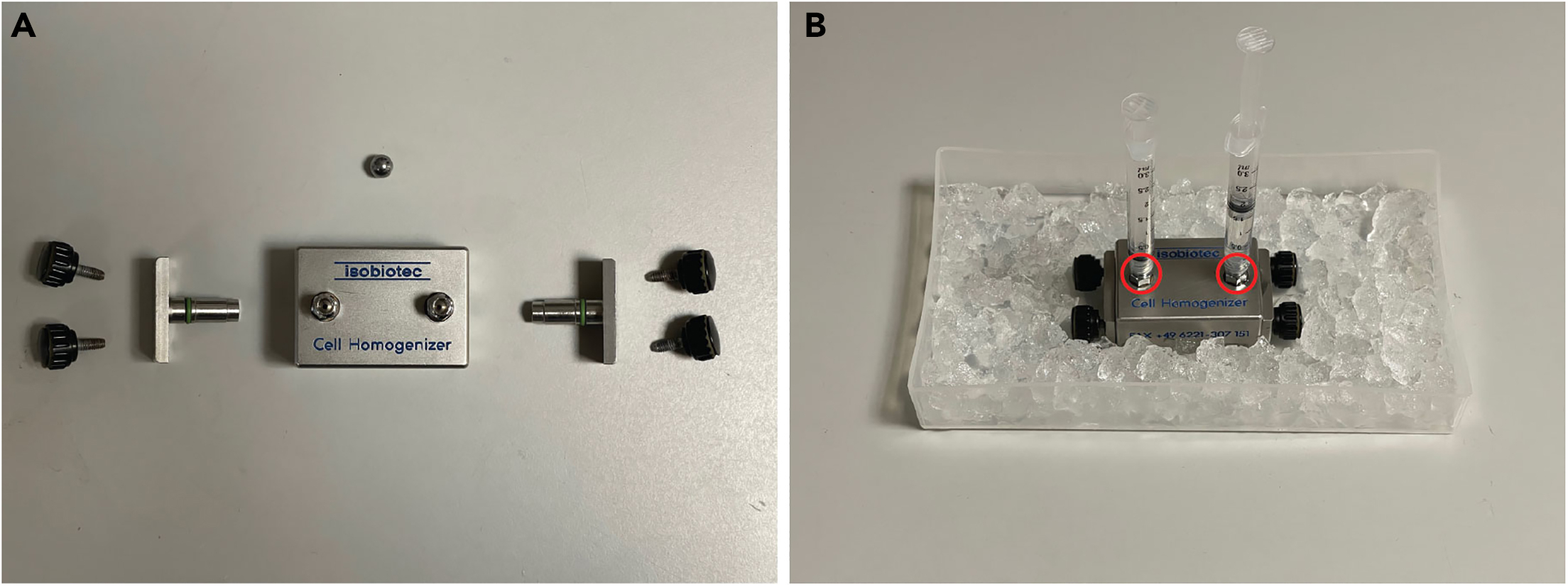 Cell Press: STAR Protocols
