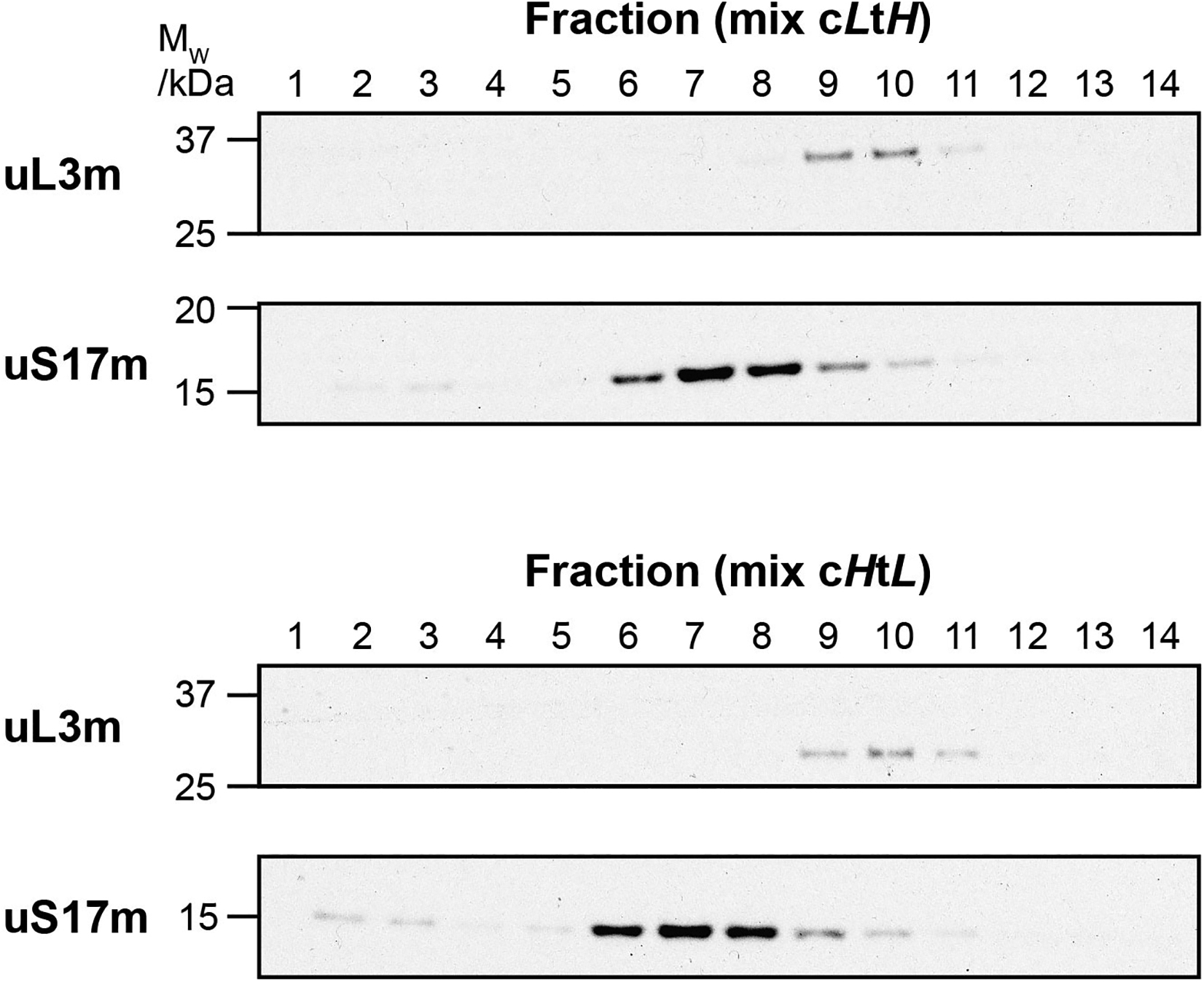 Cell Press: STAR Protocols