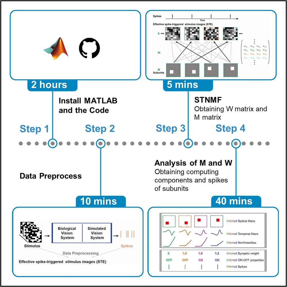 Cell Press: STAR Protocols