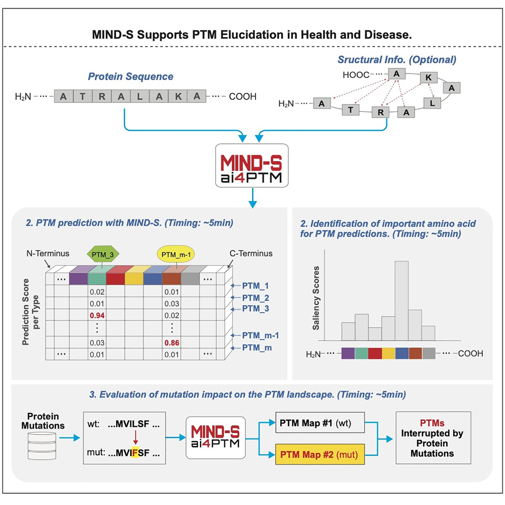 Cell Press: STAR Protocols