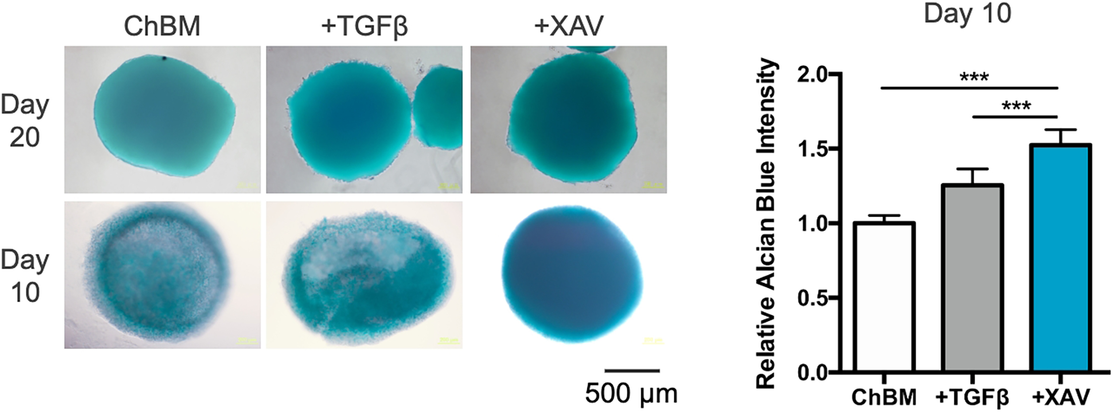 Cell Press: STAR Protocols