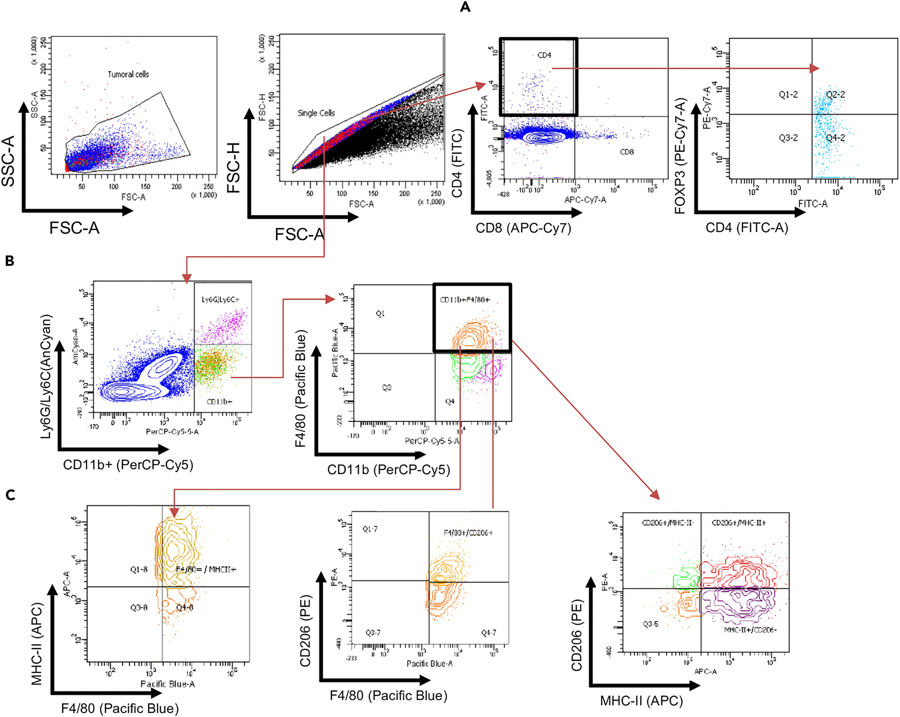 Cell Press: STAR Protocols