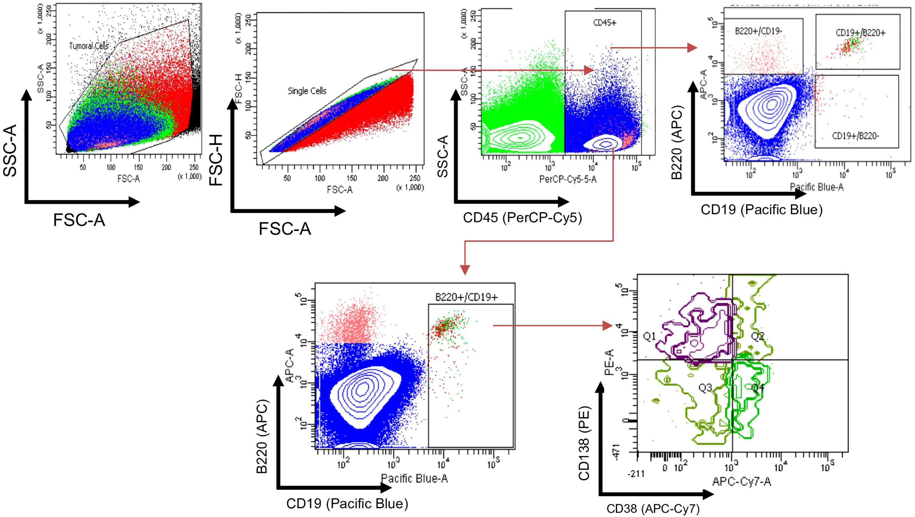 Cell Press: STAR Protocols