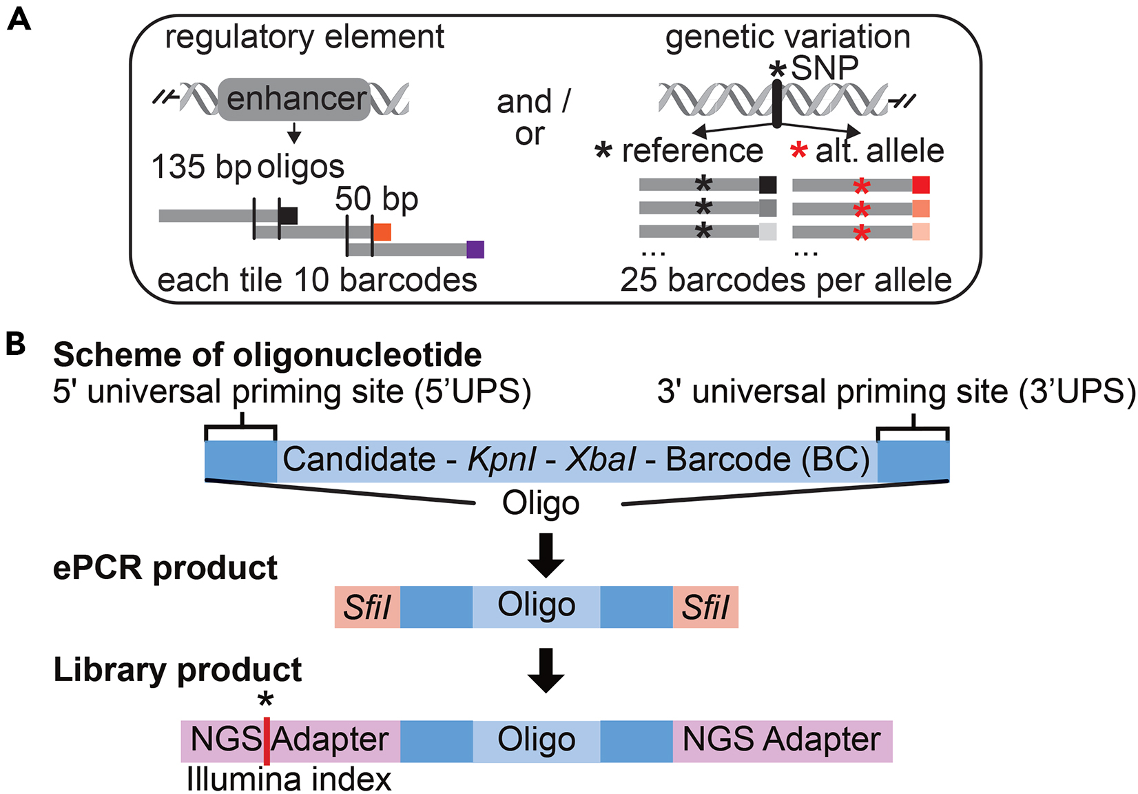 Cell Press: STAR Protocols