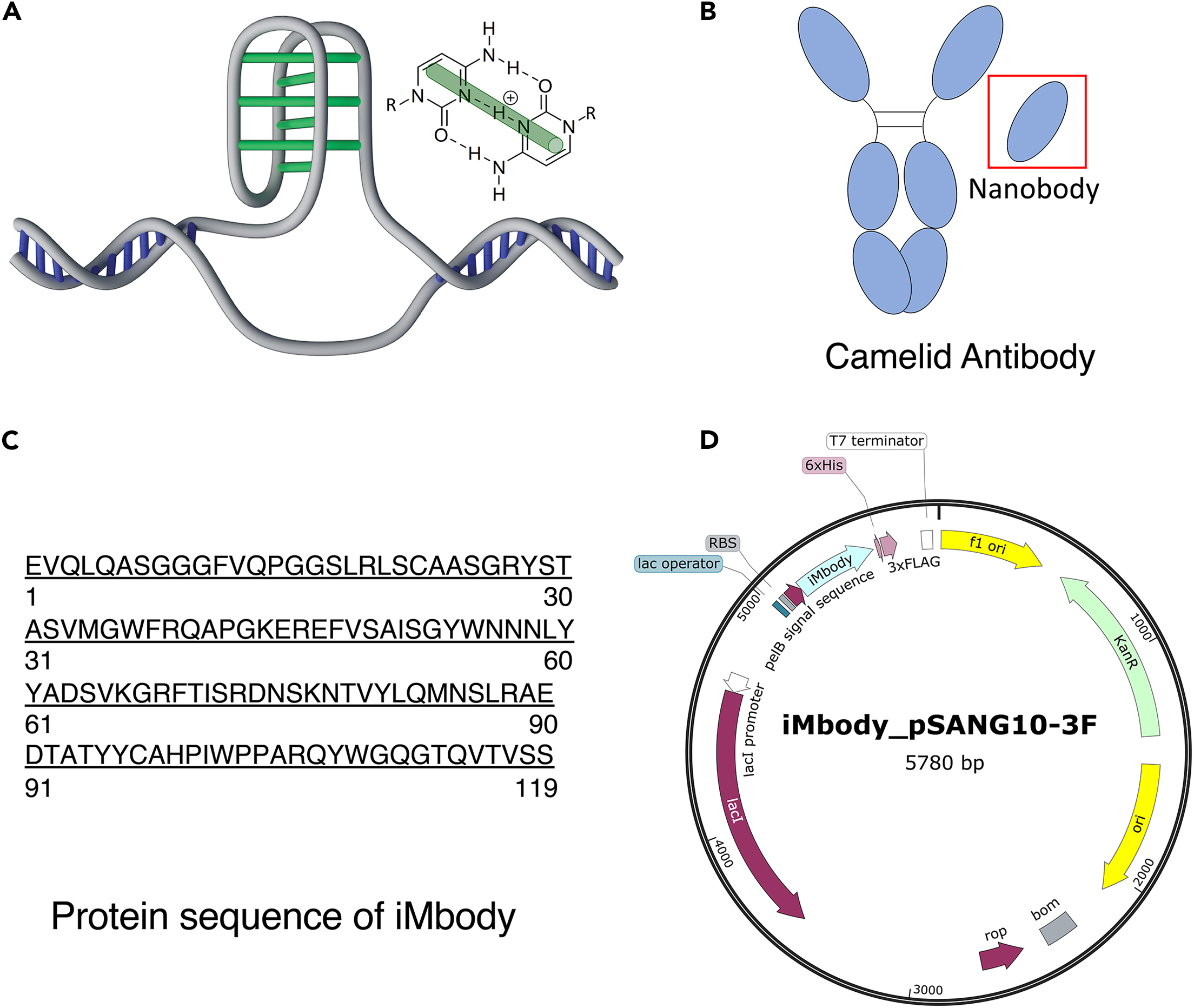 Cell Press: STAR Protocols