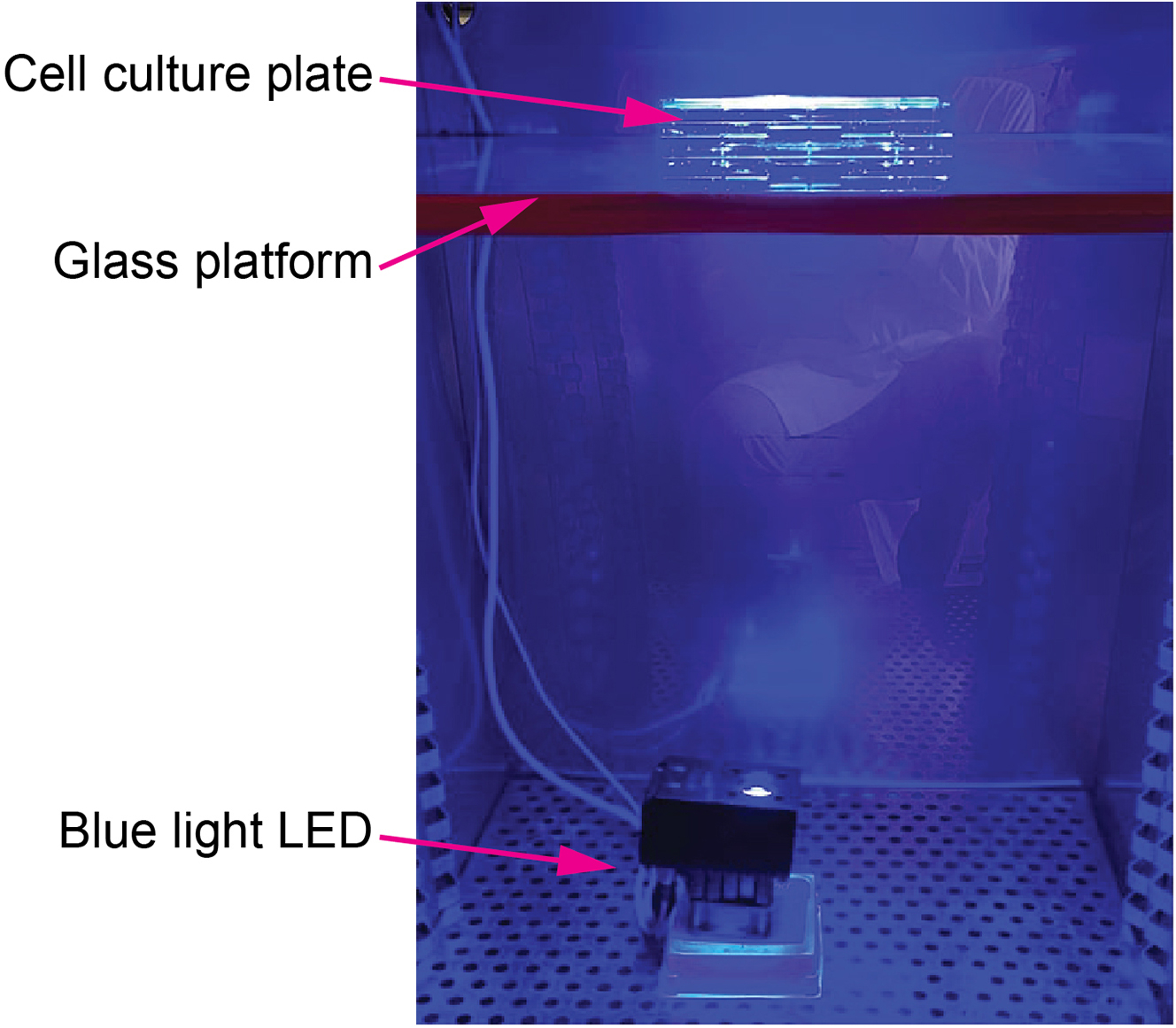 Cell Press: STAR Protocols