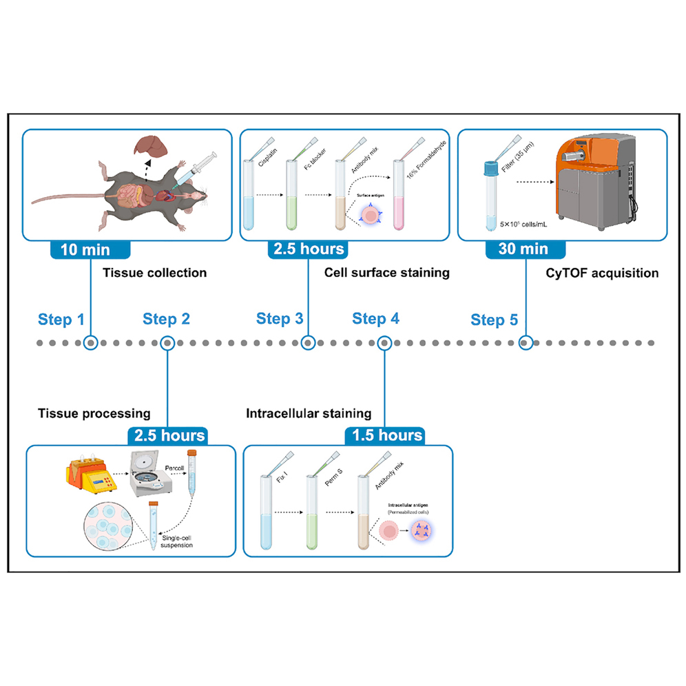 Cell Press: STAR Protocols
