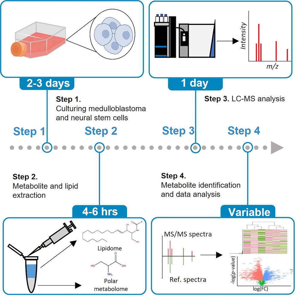 Cell Press: STAR Protocols