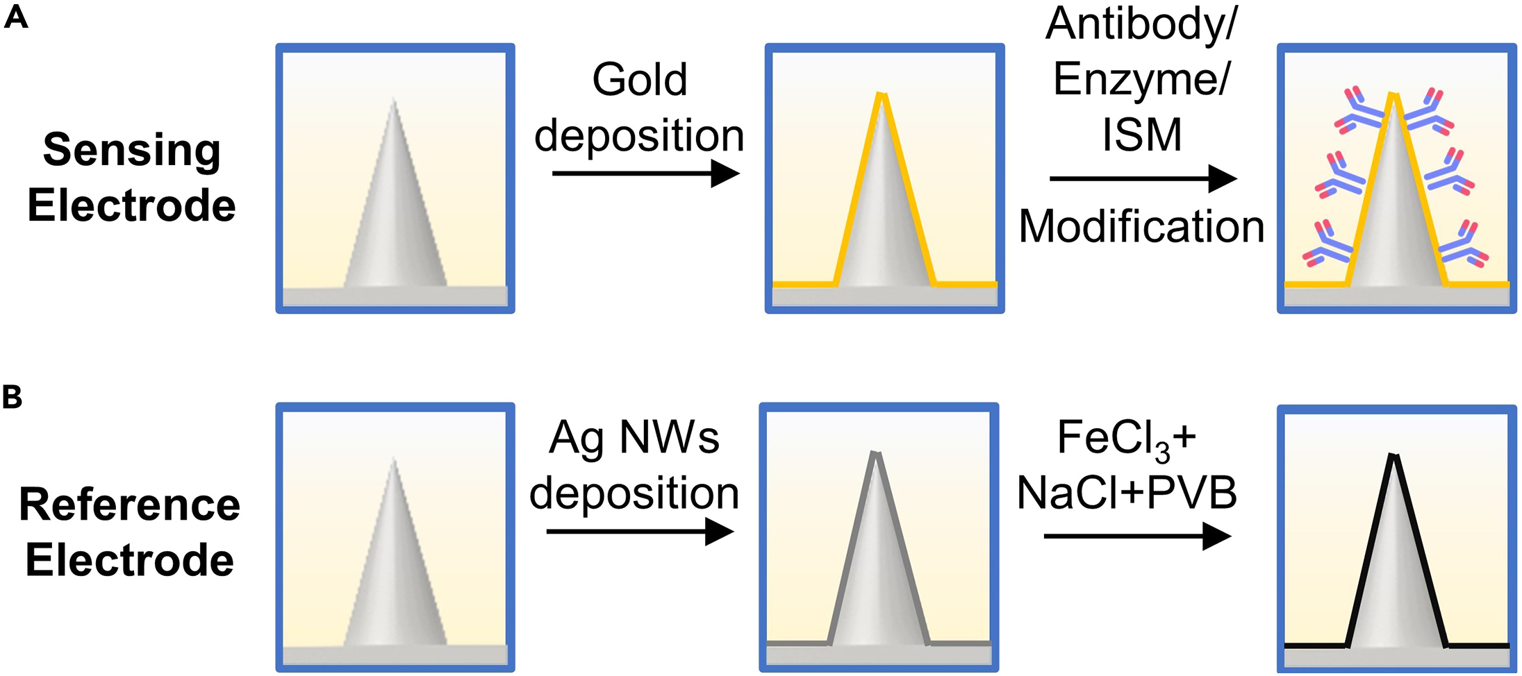 Cell Press: STAR Protocols