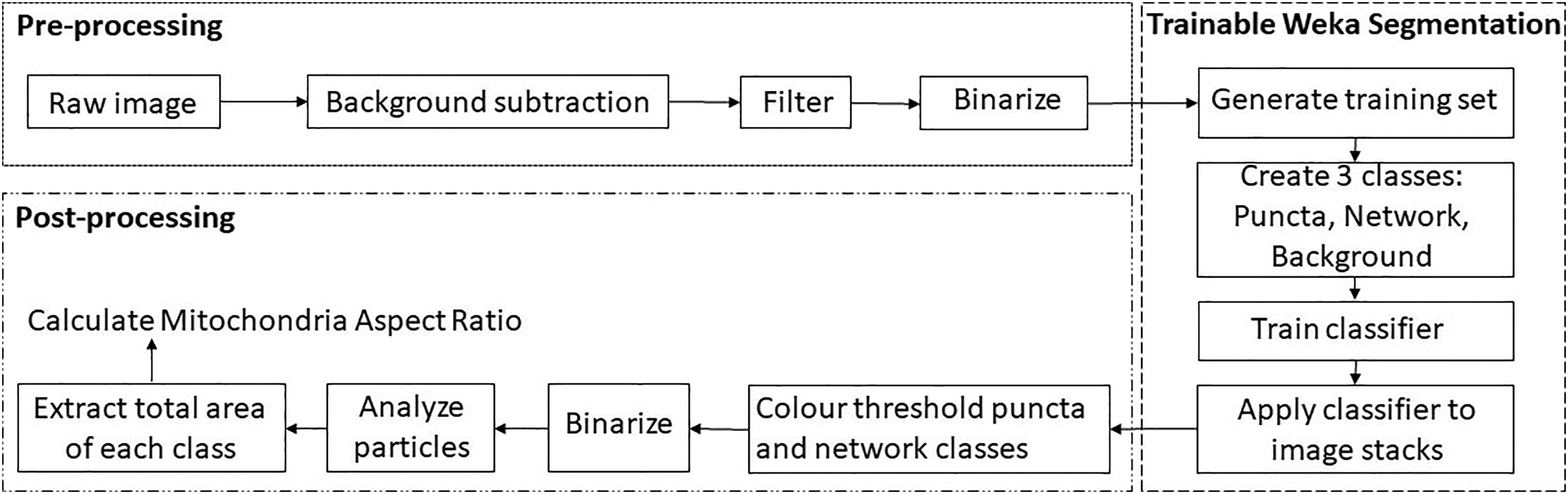 Cell Press: STAR Protocols