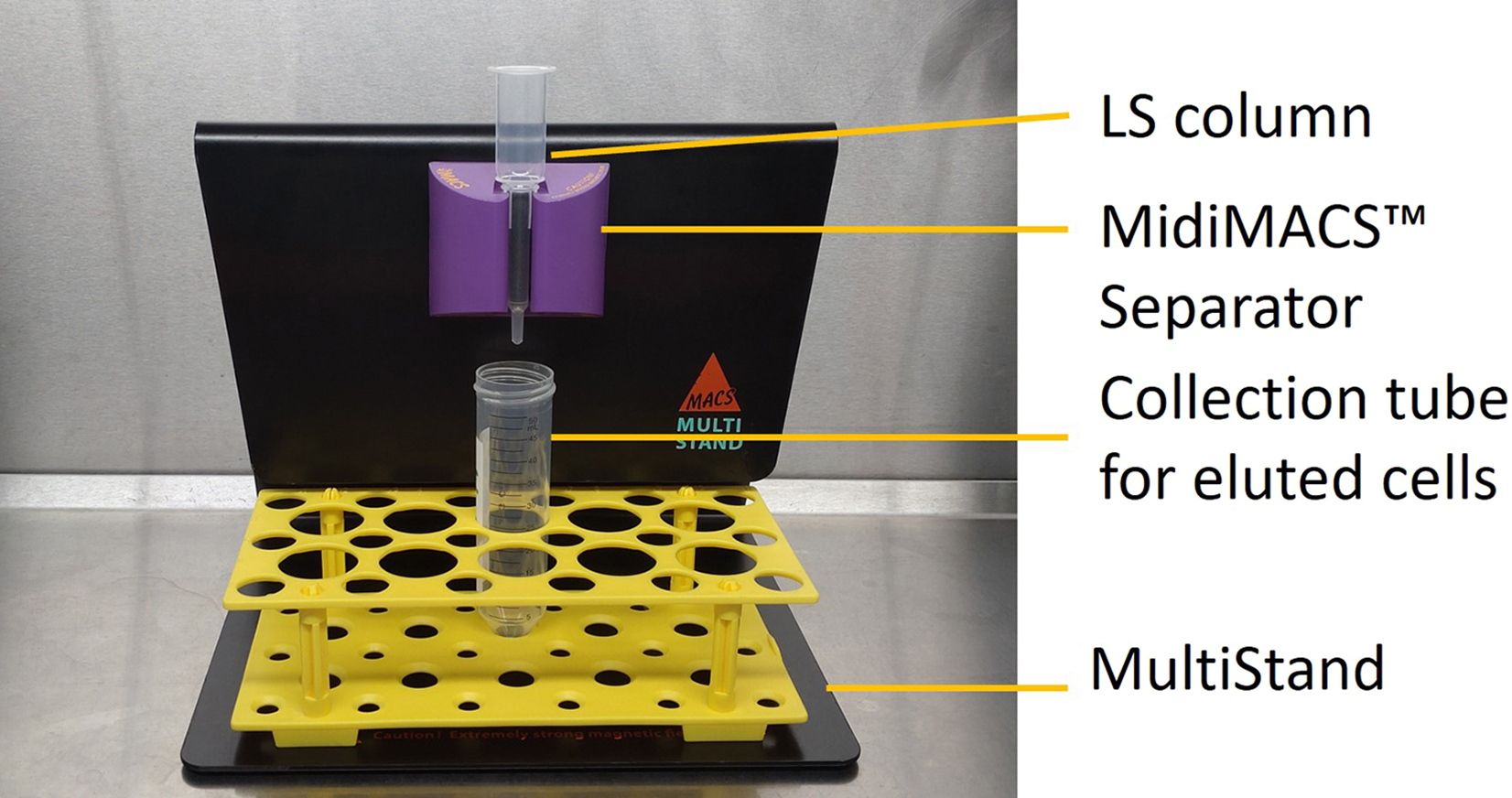 Cell Press: STAR Protocols