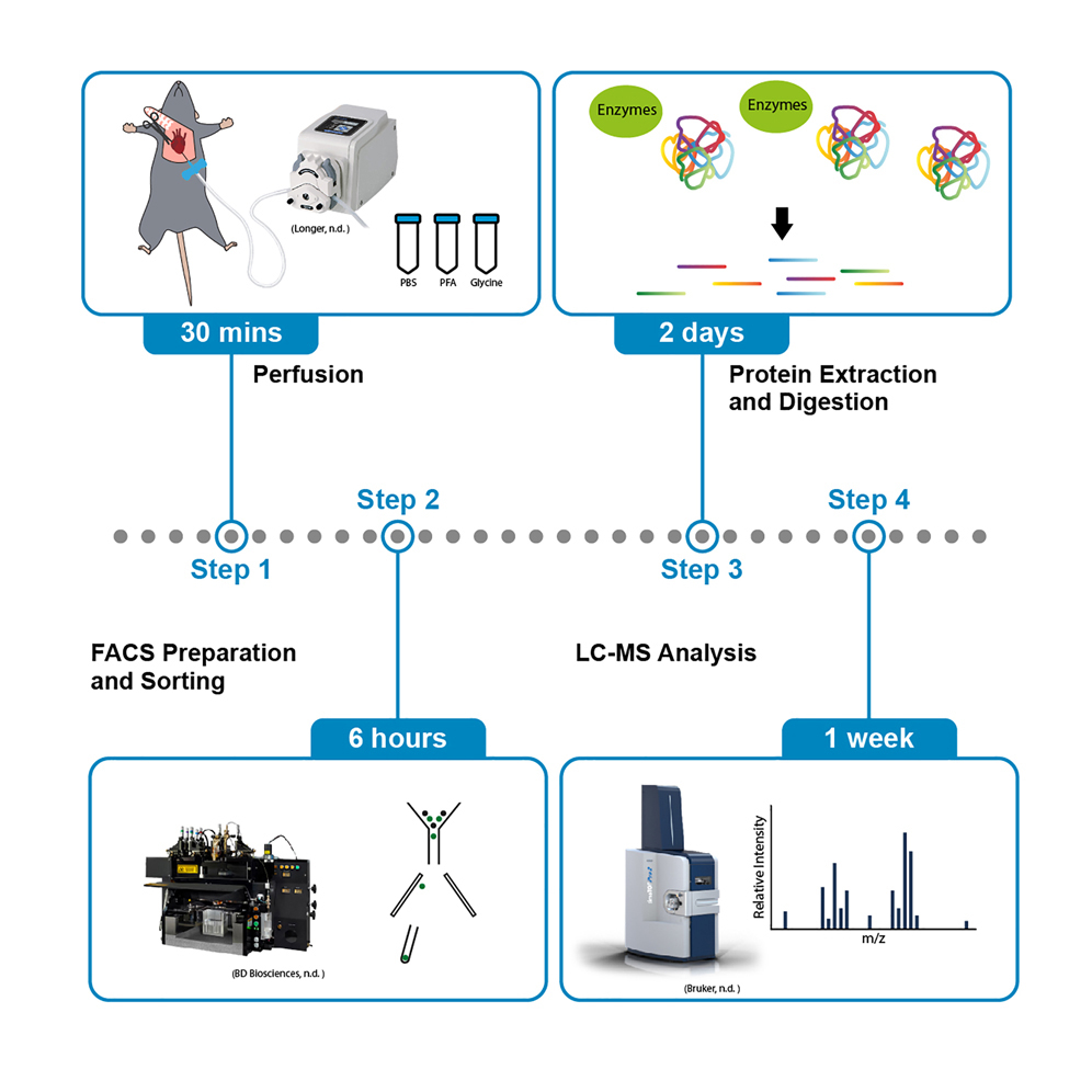 Cell Press: STAR Protocols