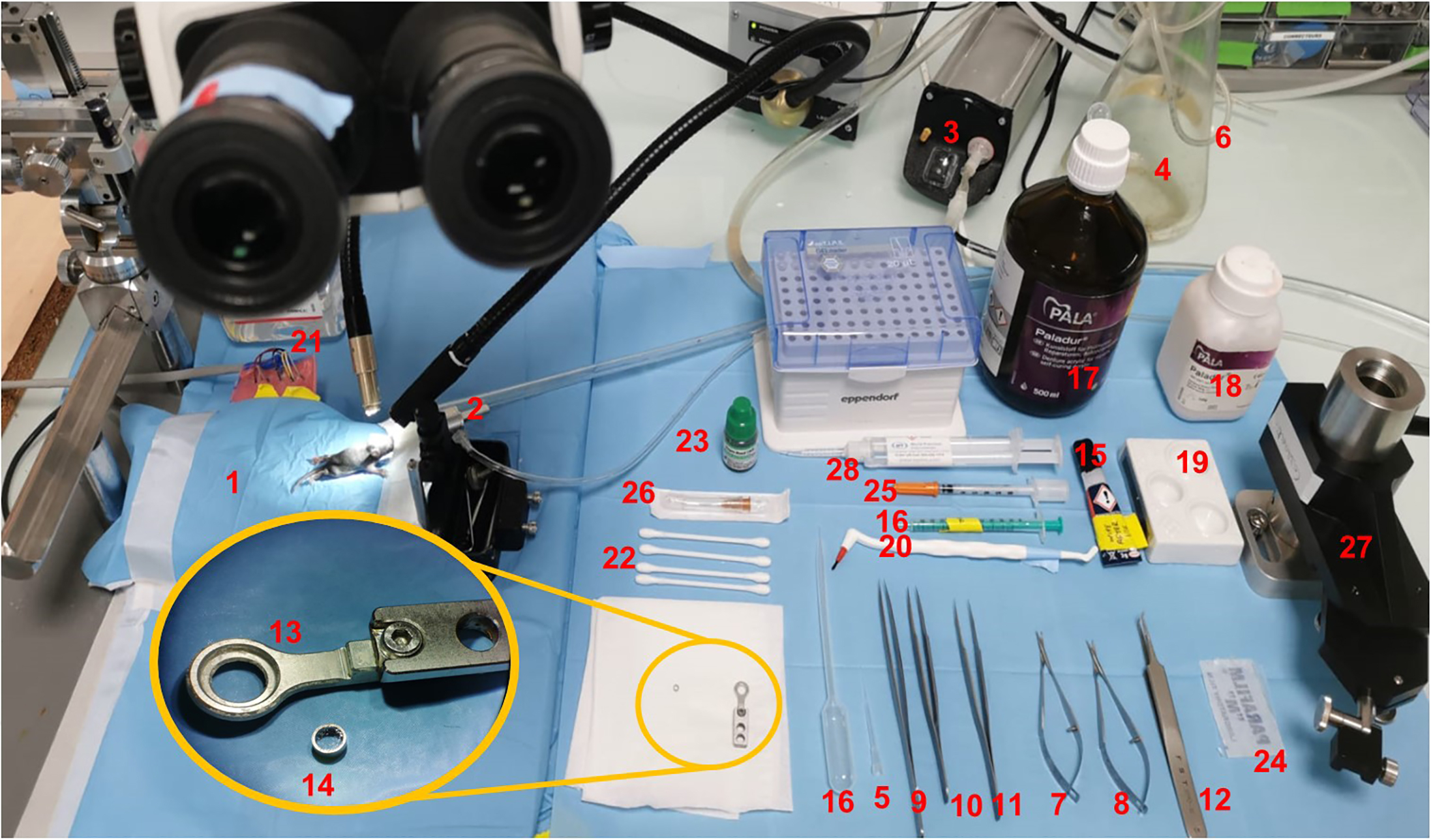 Cell Press: STAR Protocols