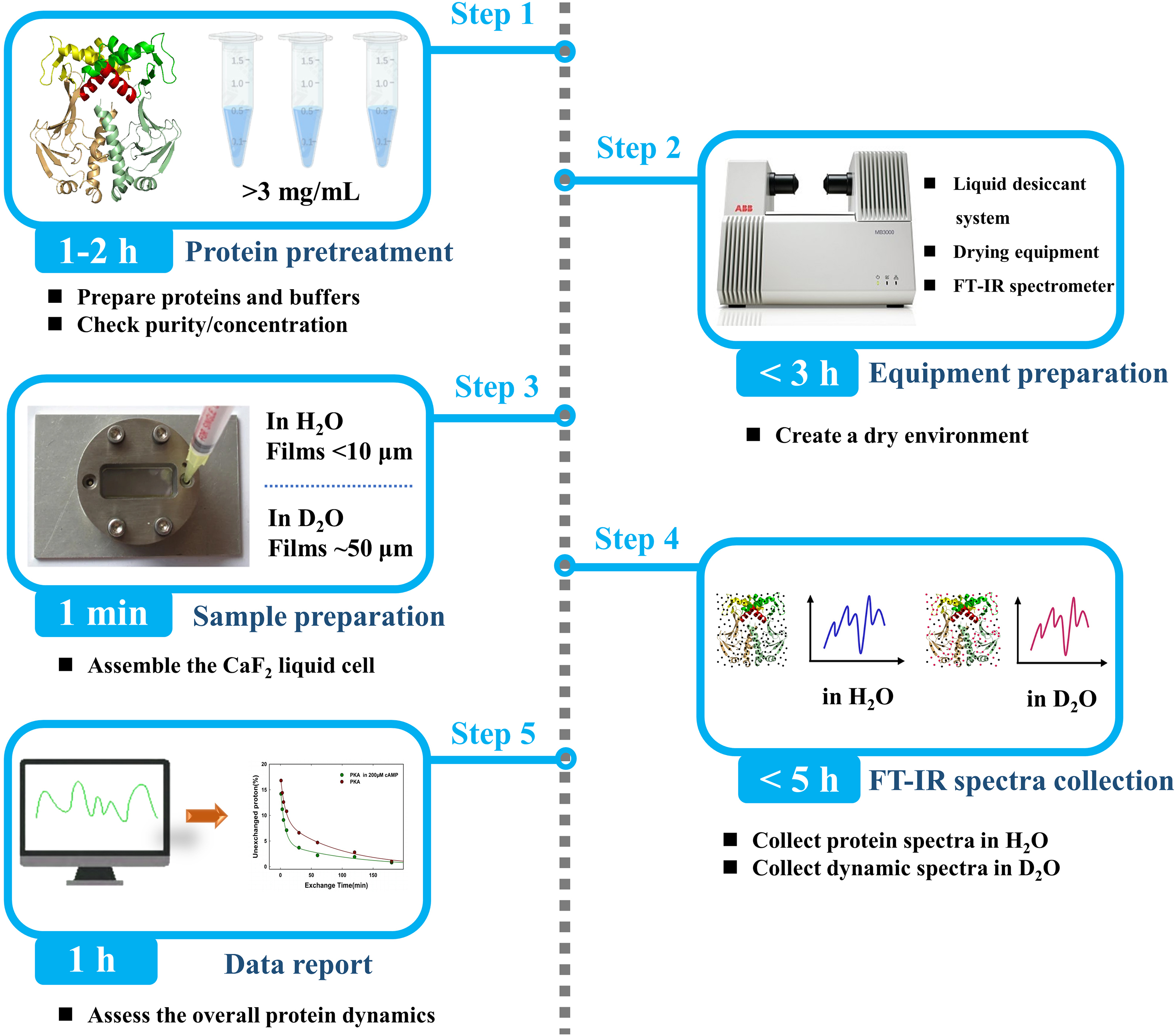 Cell Press: STAR Protocols