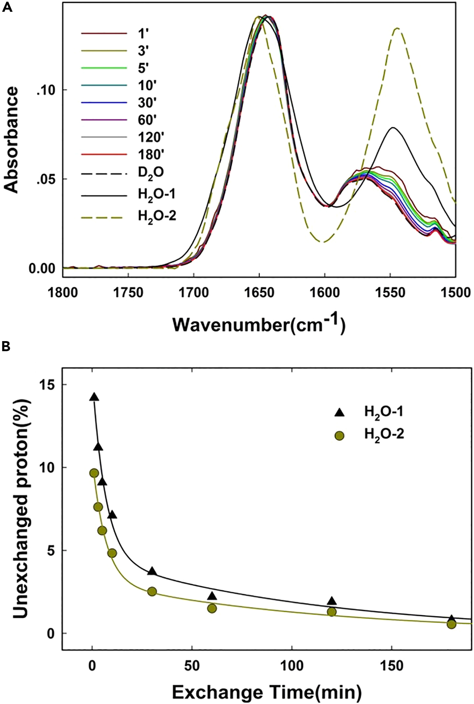 Cell Press: STAR Protocols