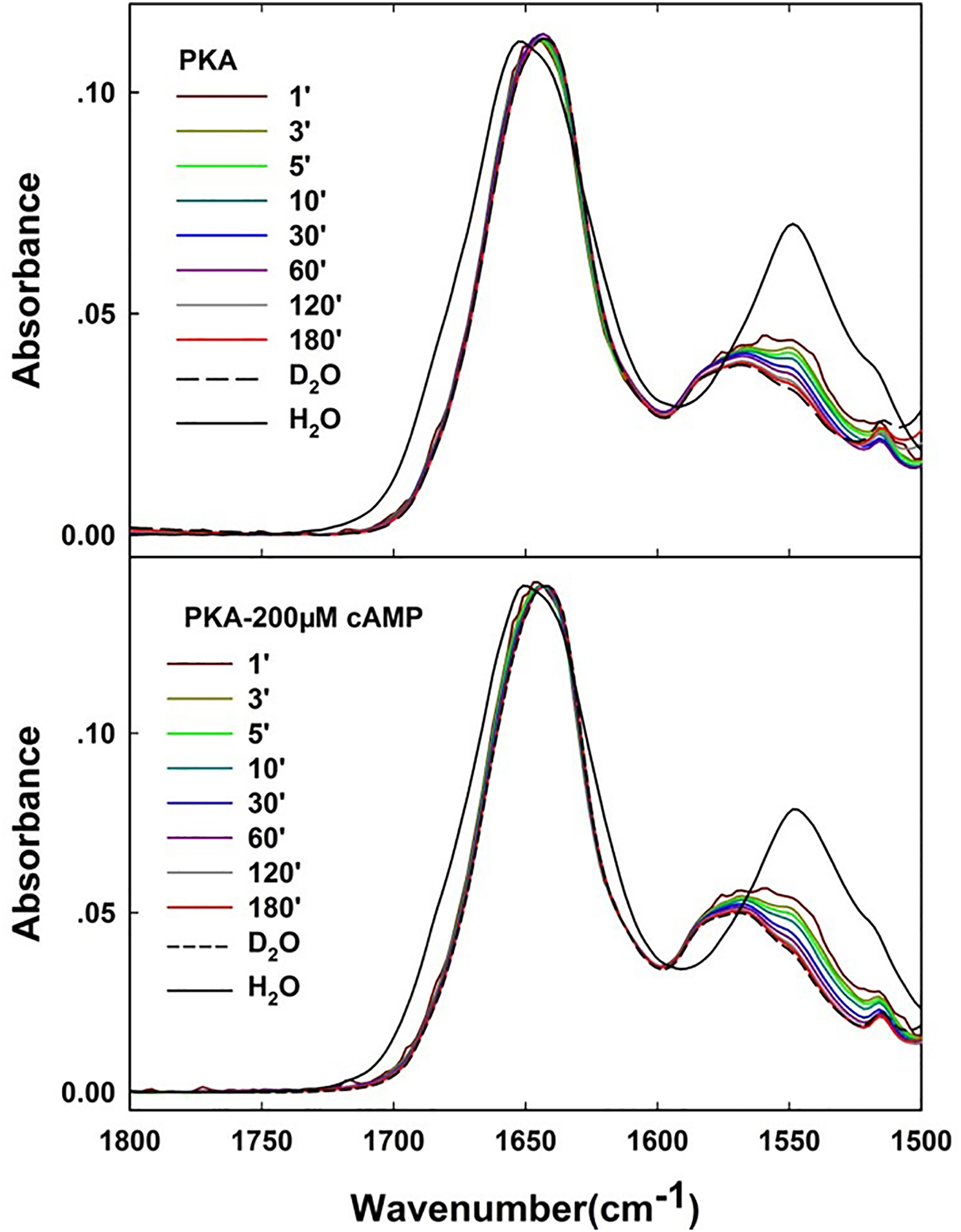 Cell Press: STAR Protocols