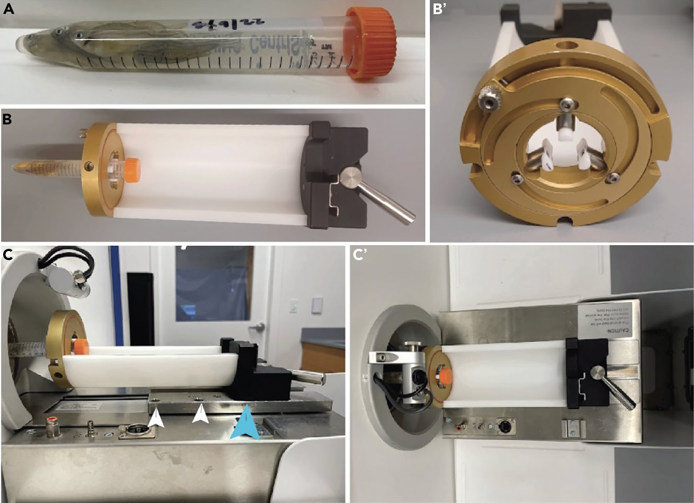 Cell Press: STAR Protocols