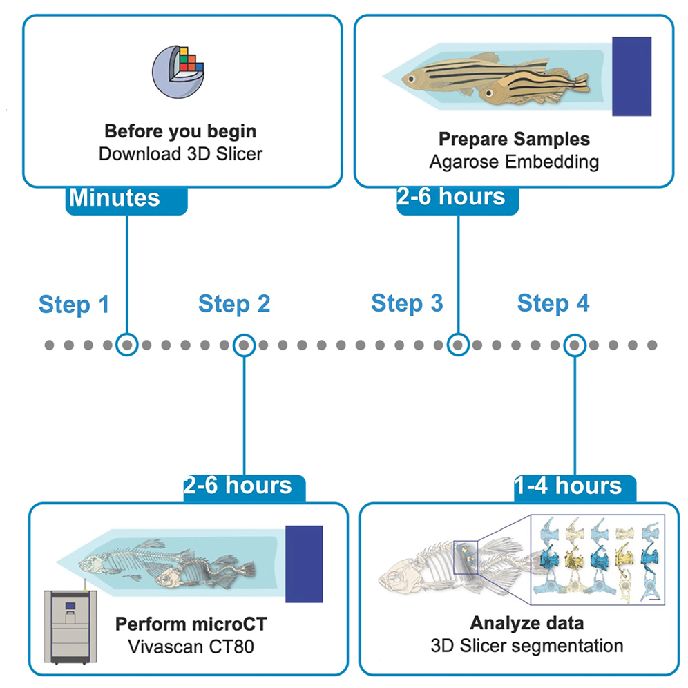 Cell Press: STAR Protocols