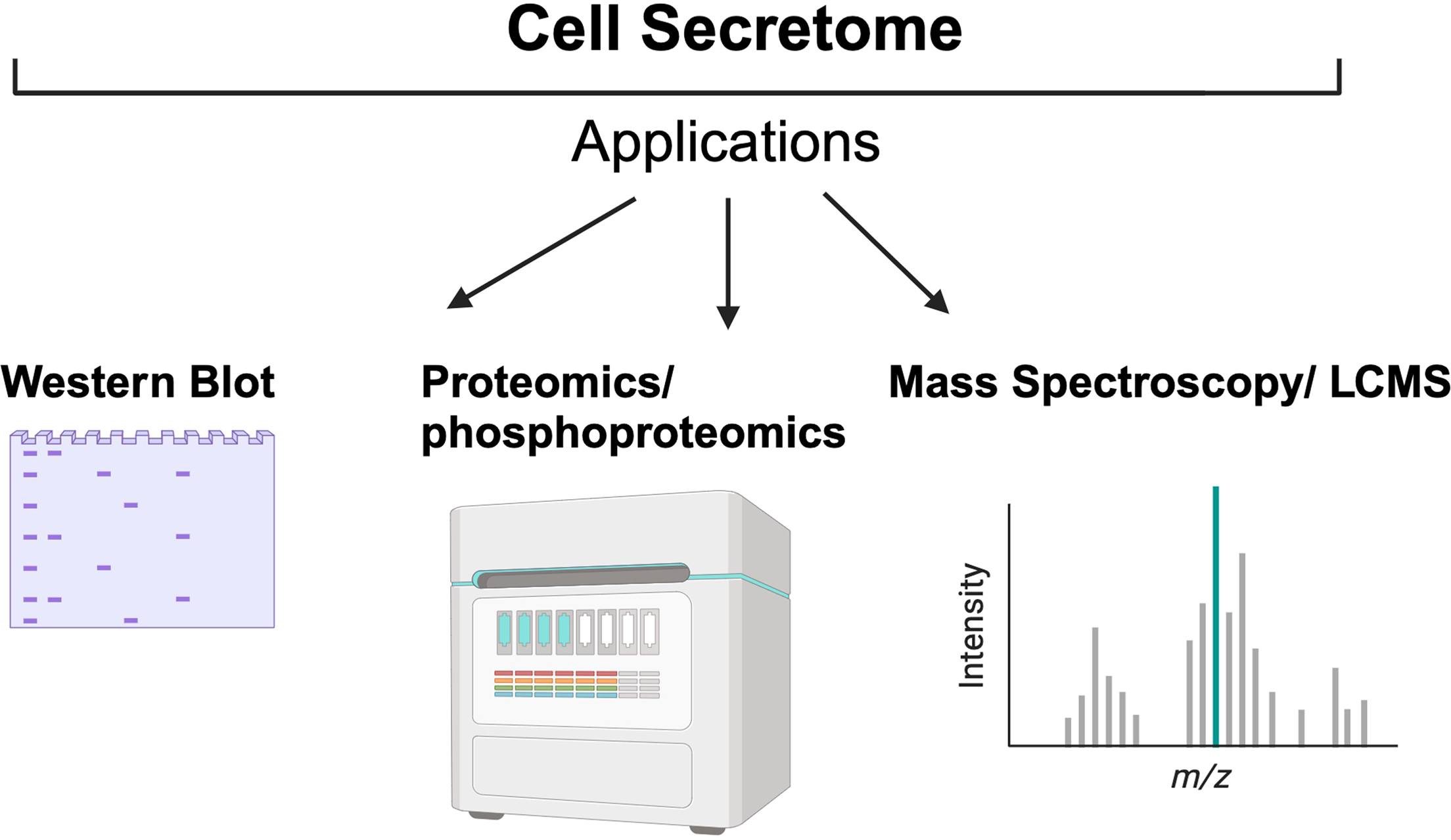 Cell Press: STAR Protocols