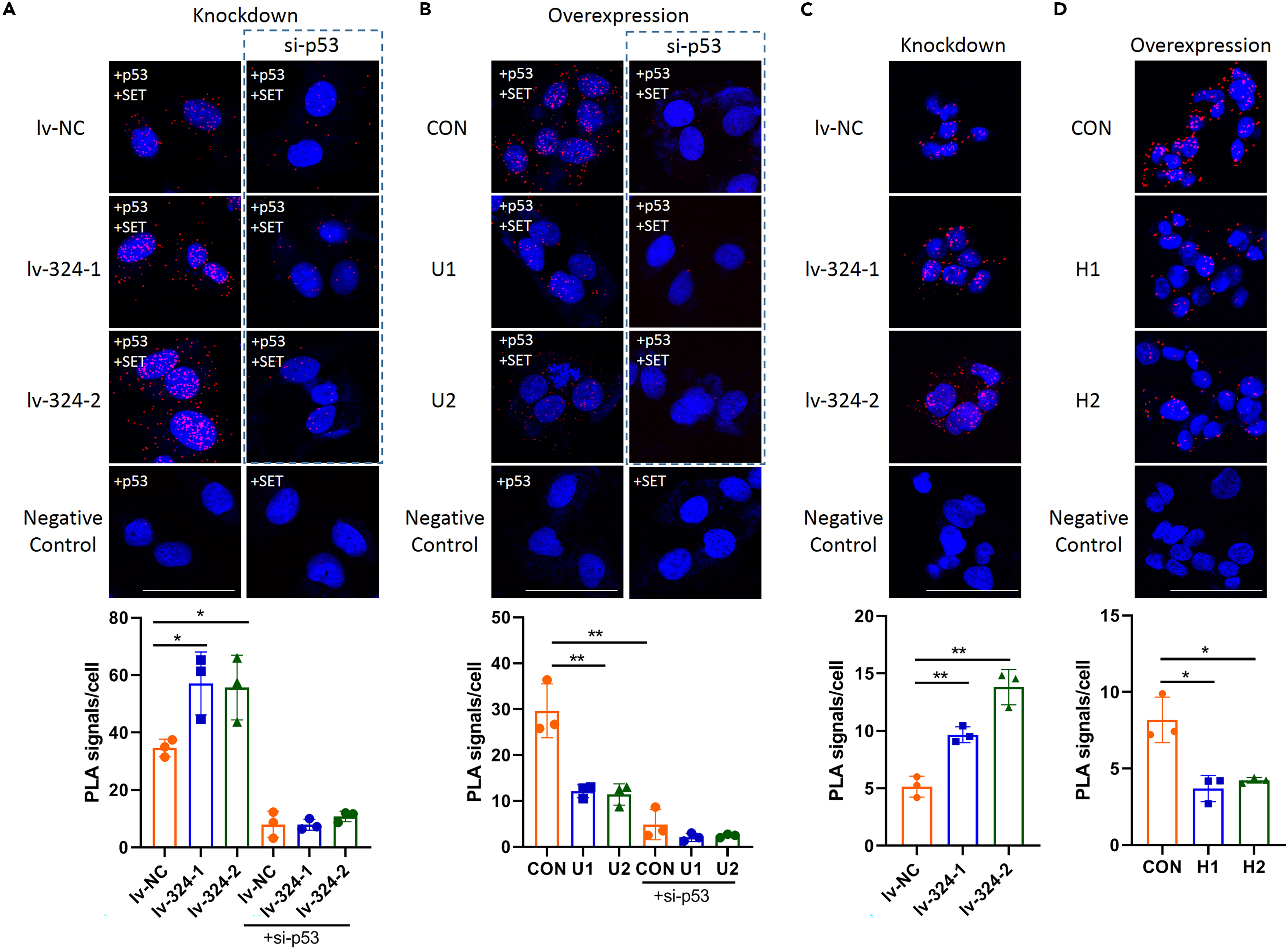 Cell Press: STAR Protocols