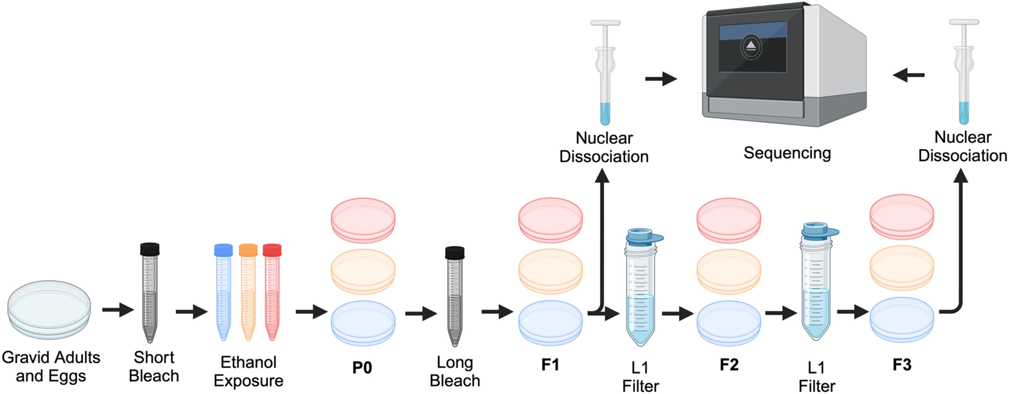 Cell Press: STAR Protocols