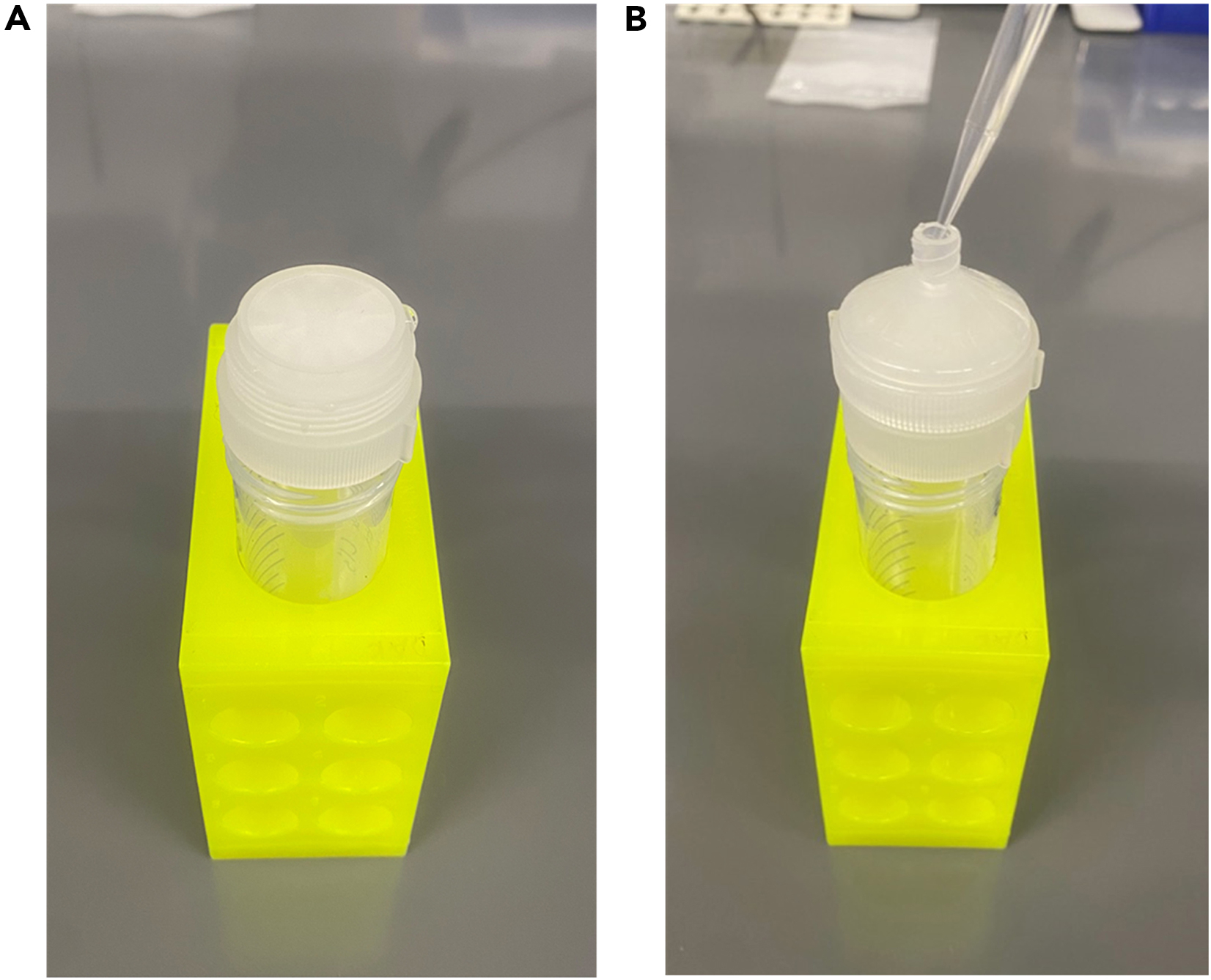 Cell Press: STAR Protocols