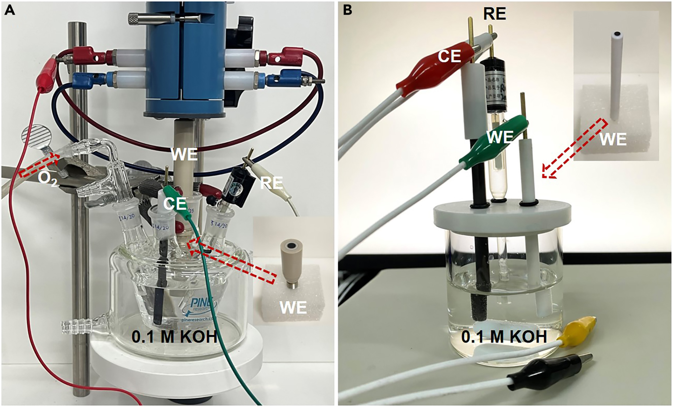 Cell Press: STAR Protocols