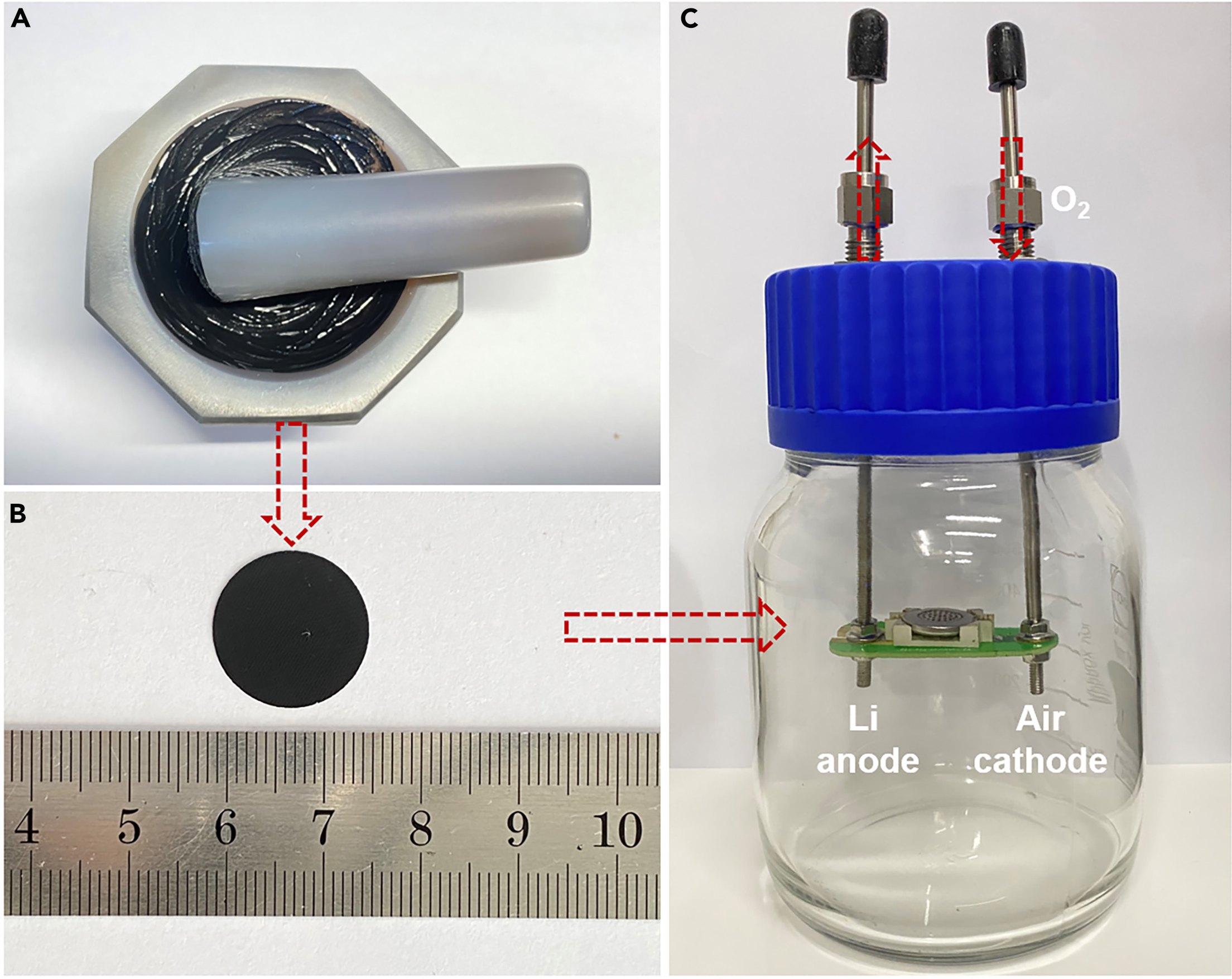 Cell Press: STAR Protocols
