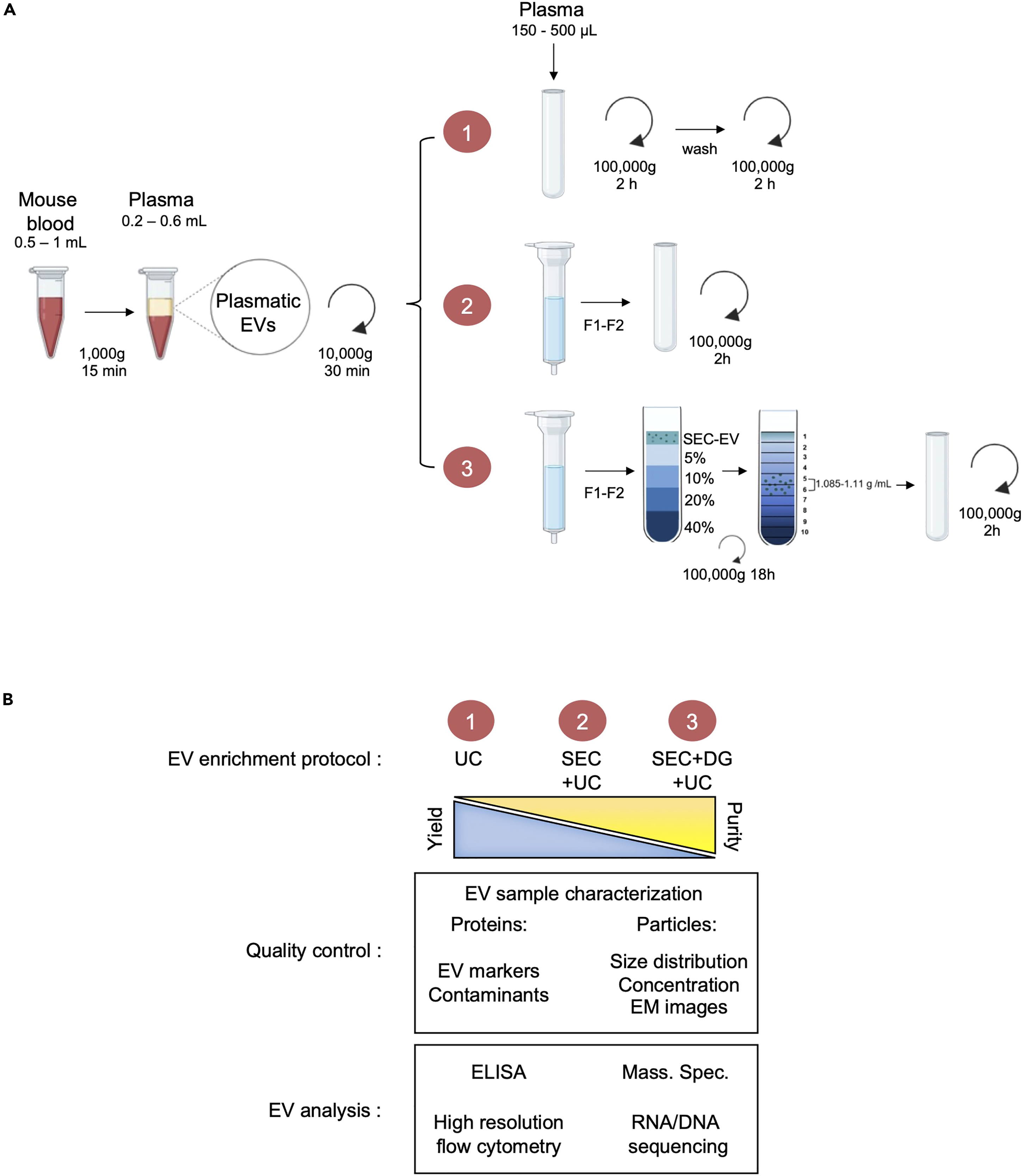 Cell Press: STAR Protocols