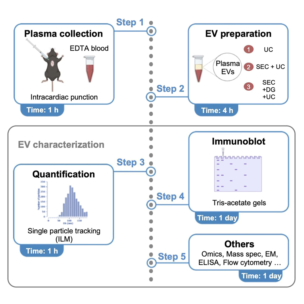Cell Press: STAR Protocols