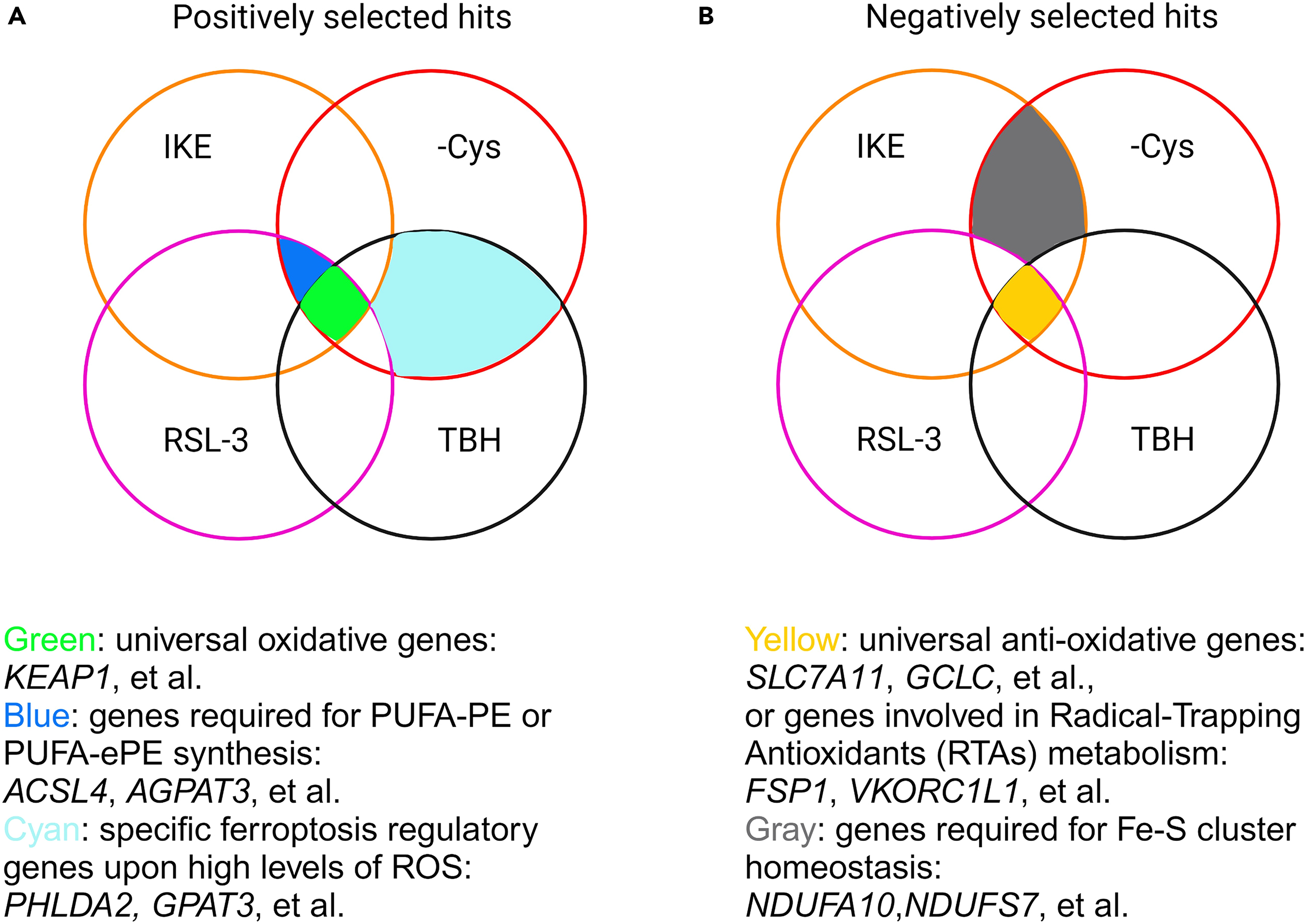 Cell Press: STAR Protocols