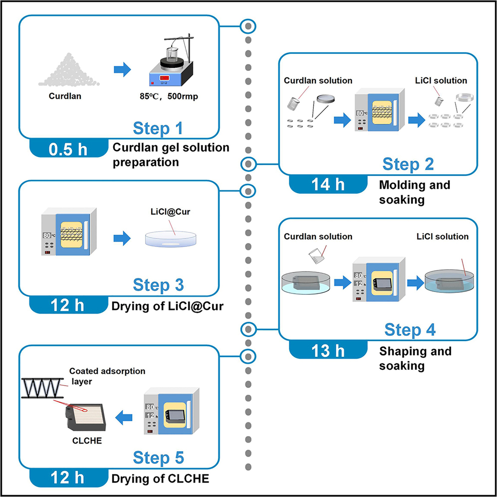 Cell Press: STAR Protocols