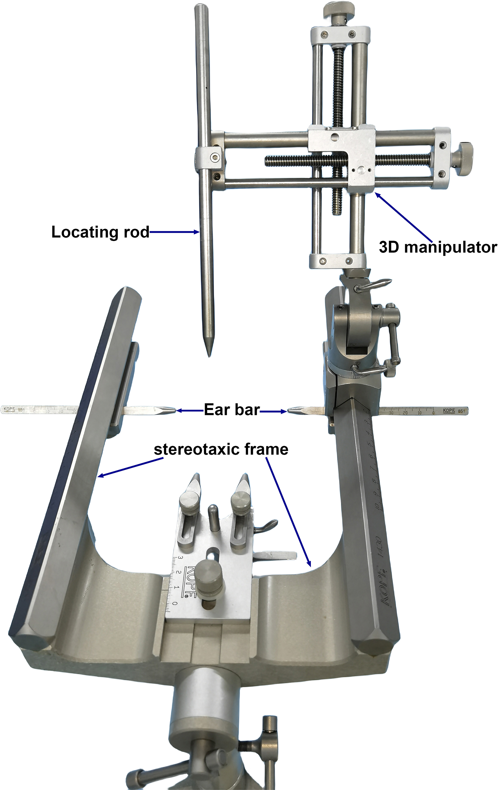 Cell Press: STAR Protocols