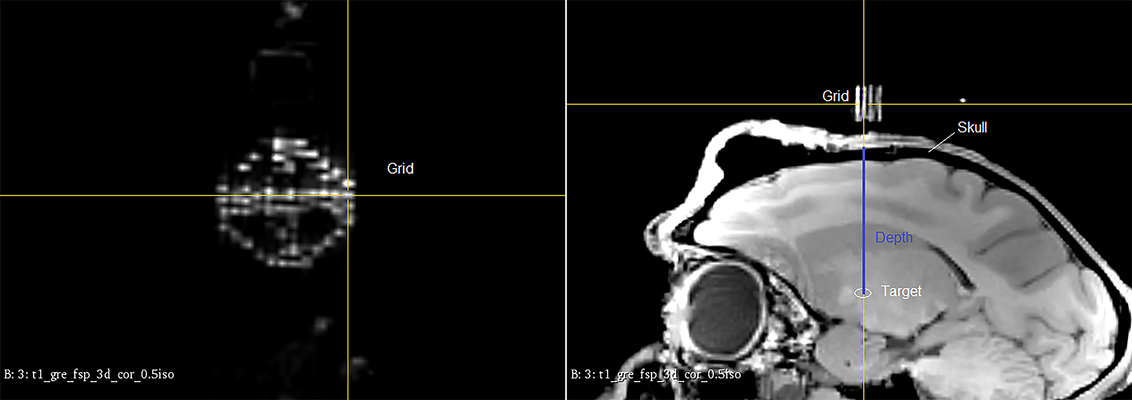 Cell Press: STAR Protocols