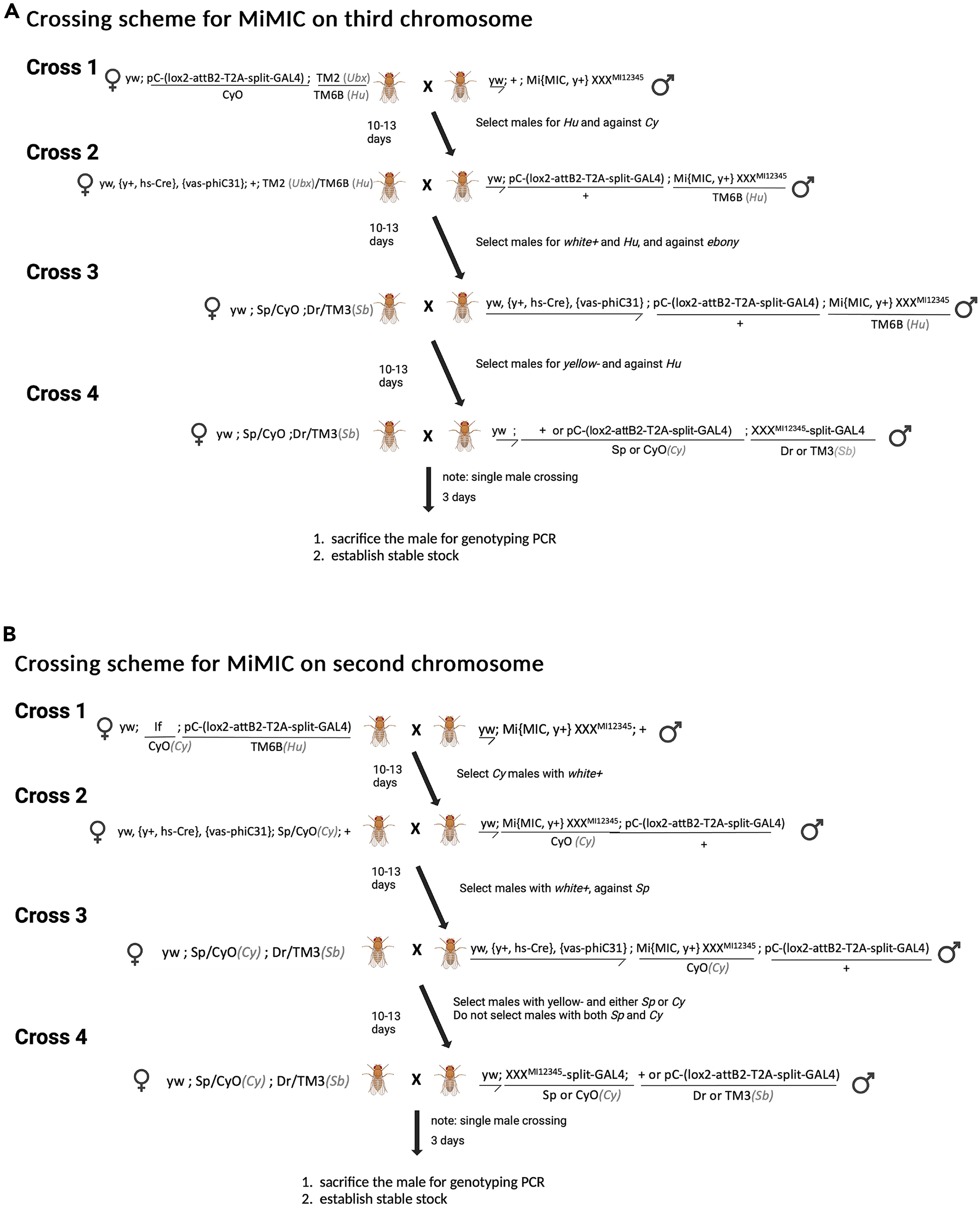 Cell Press: STAR Protocols