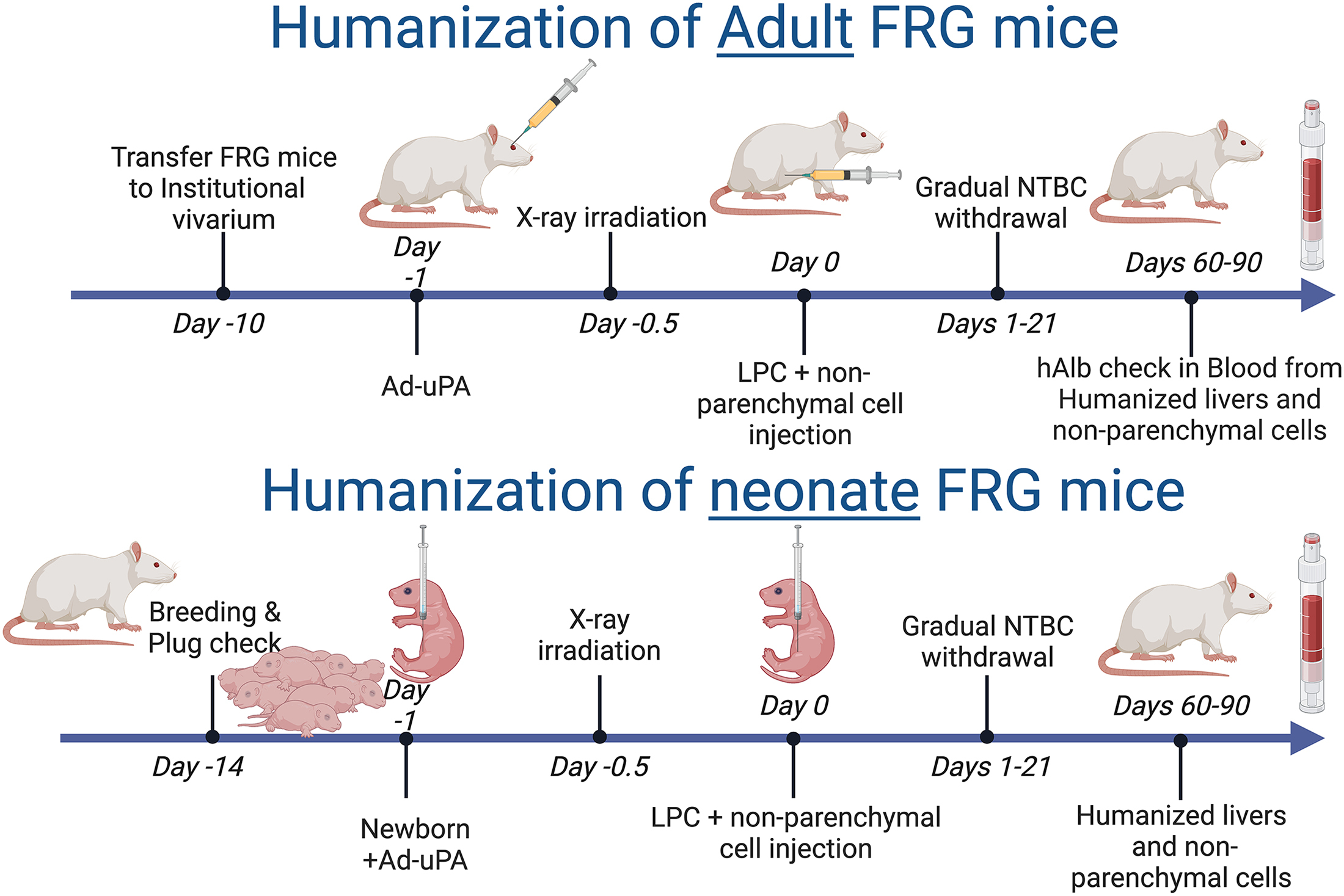 Cell Press: STAR Protocols