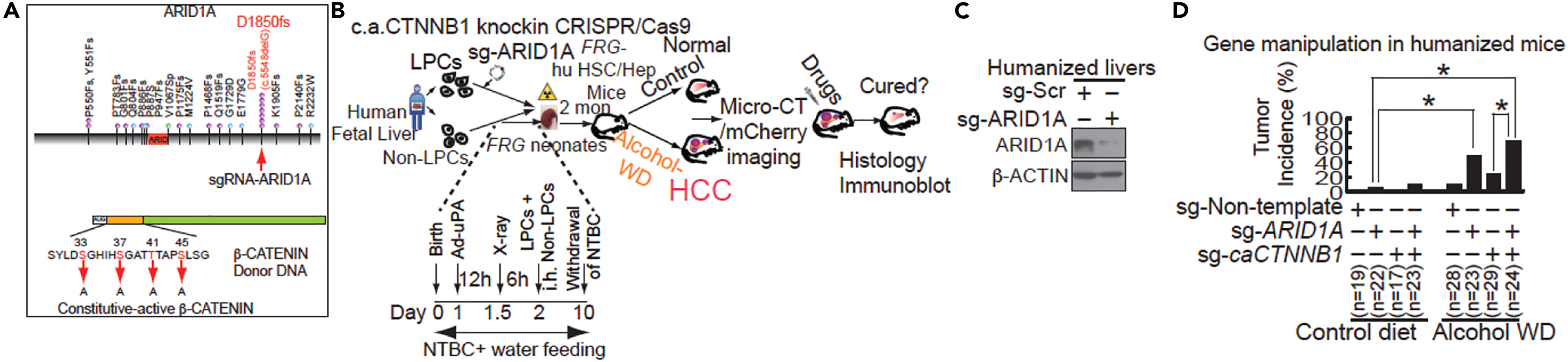 Cell Press: STAR Protocols
