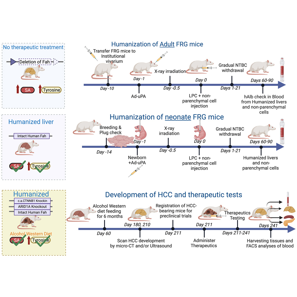 Cell Press: STAR Protocols