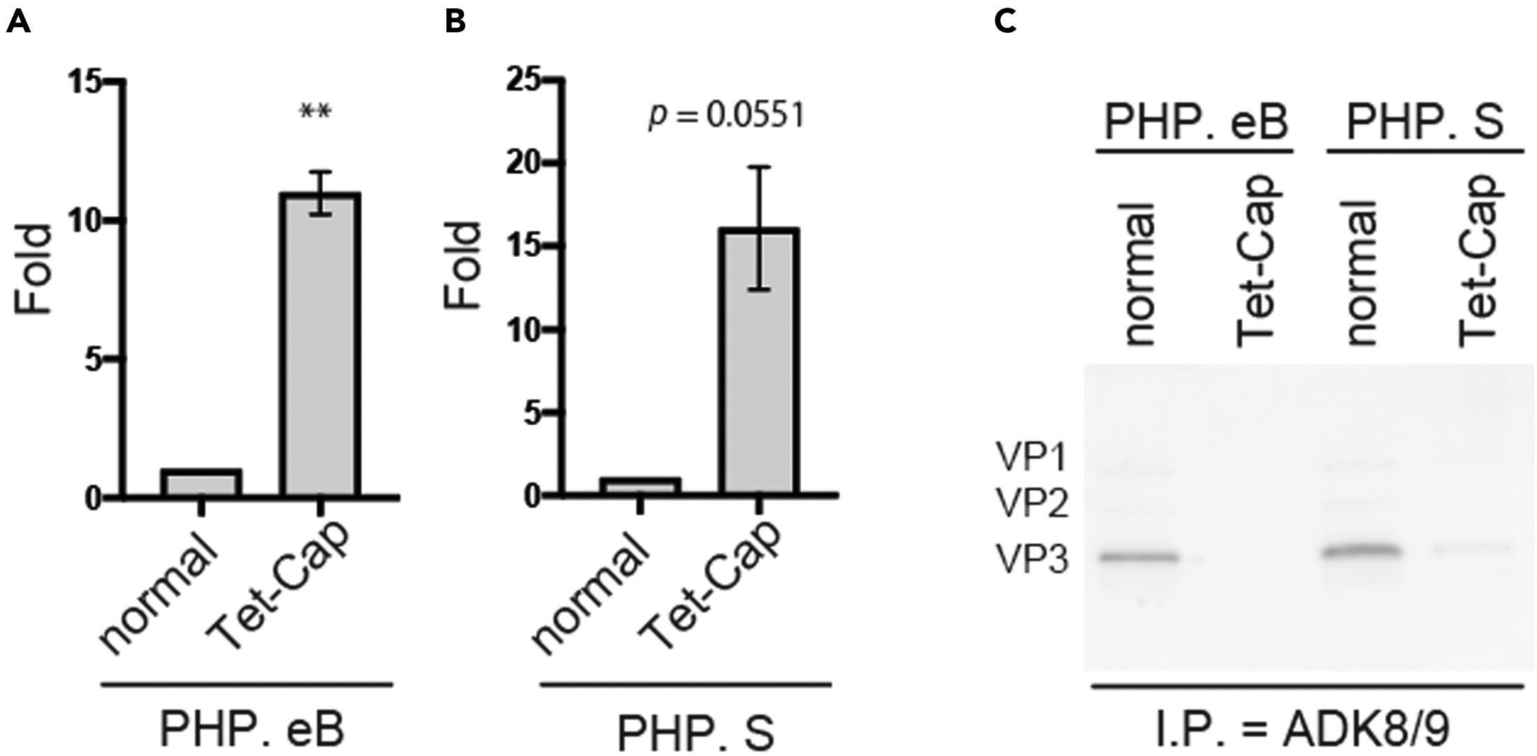 Cell Press: STAR Protocols