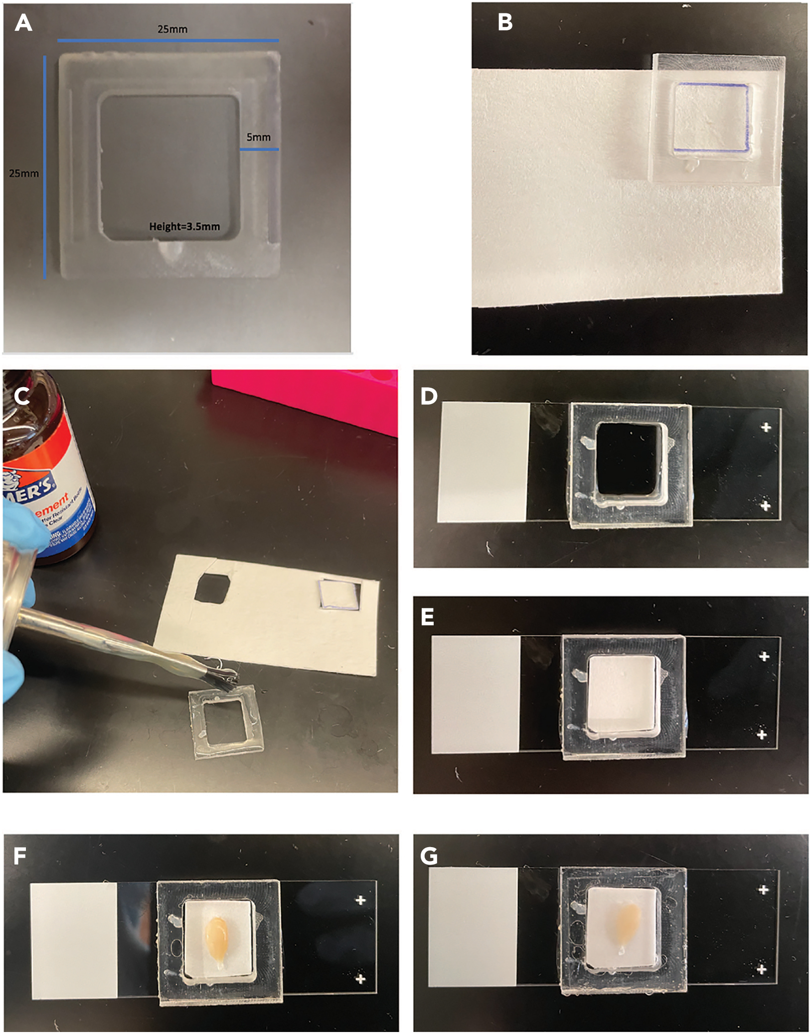 Cell Press: STAR Protocols