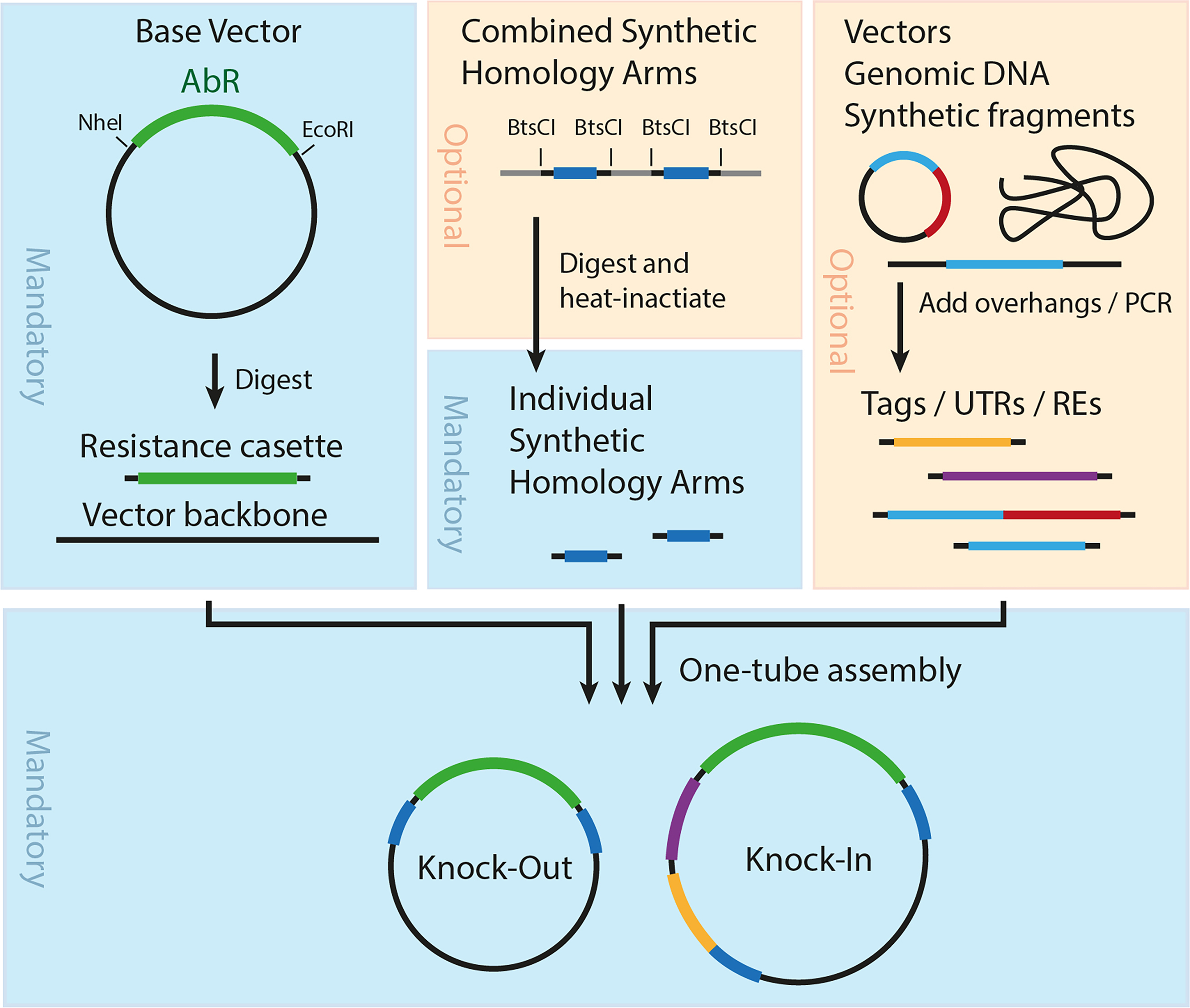 Cell Press: STAR Protocols