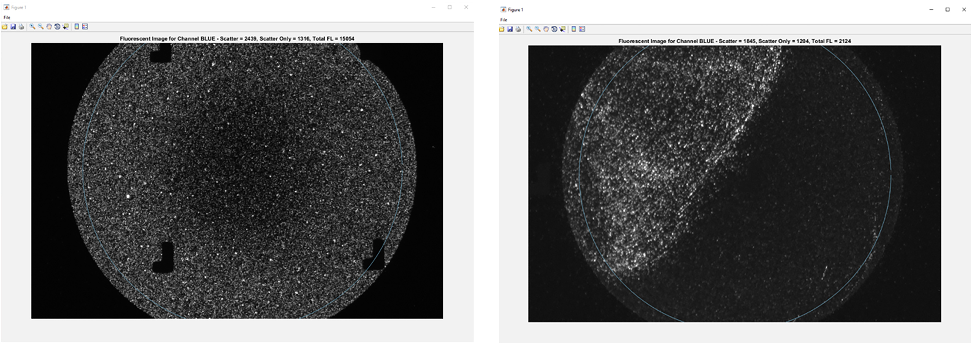 Cell Press: STAR Protocols