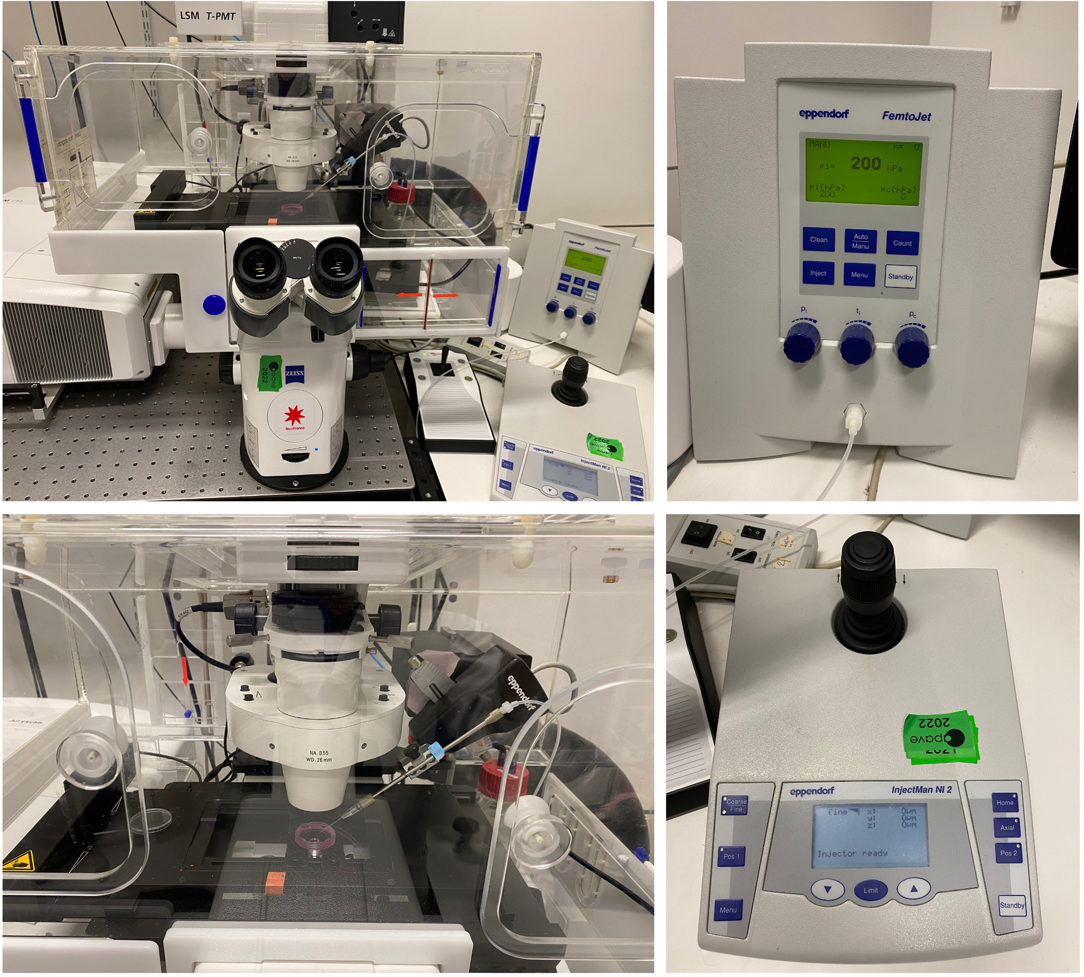 Cell Press: STAR Protocols