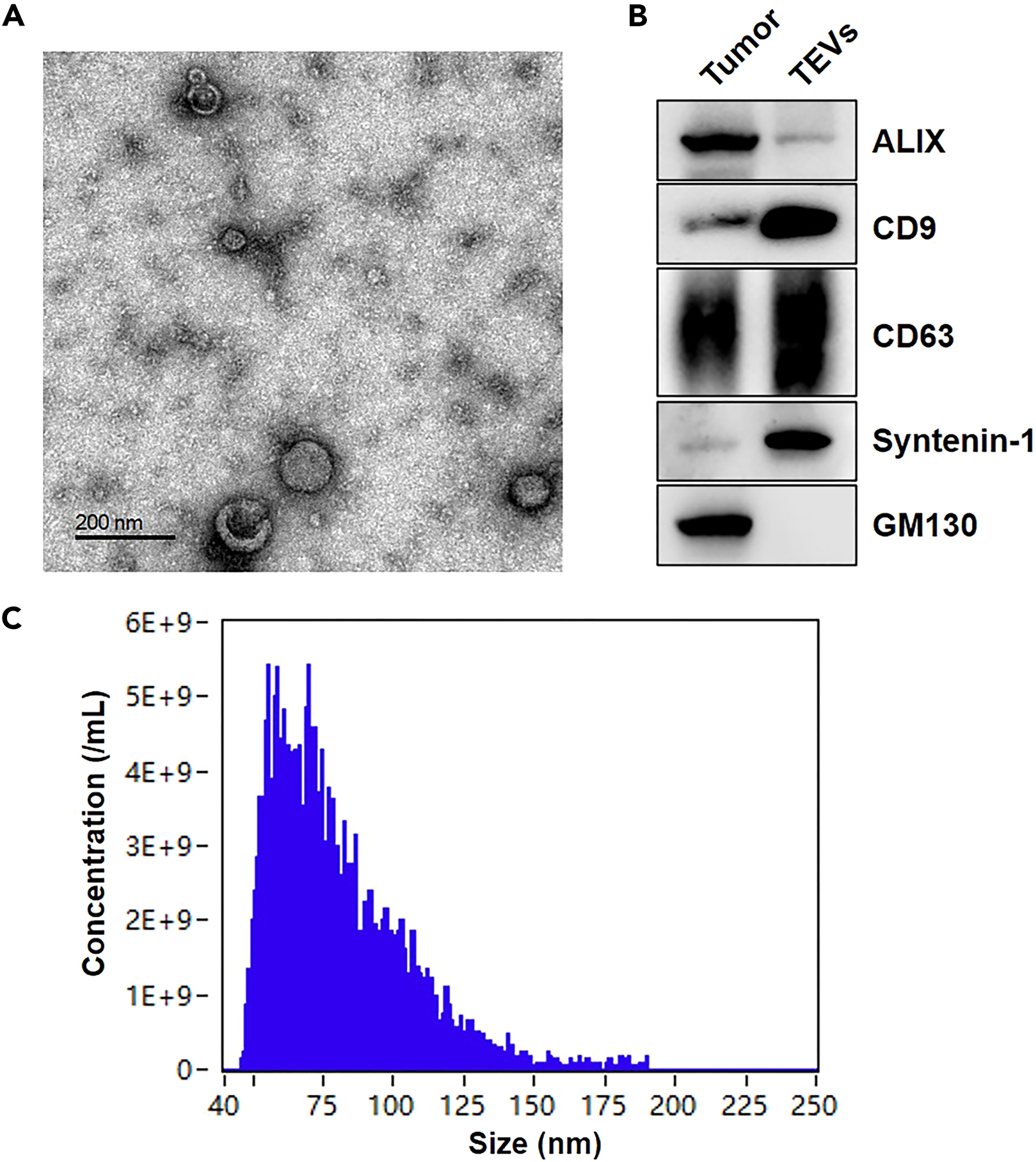 Cell Press: STAR Protocols