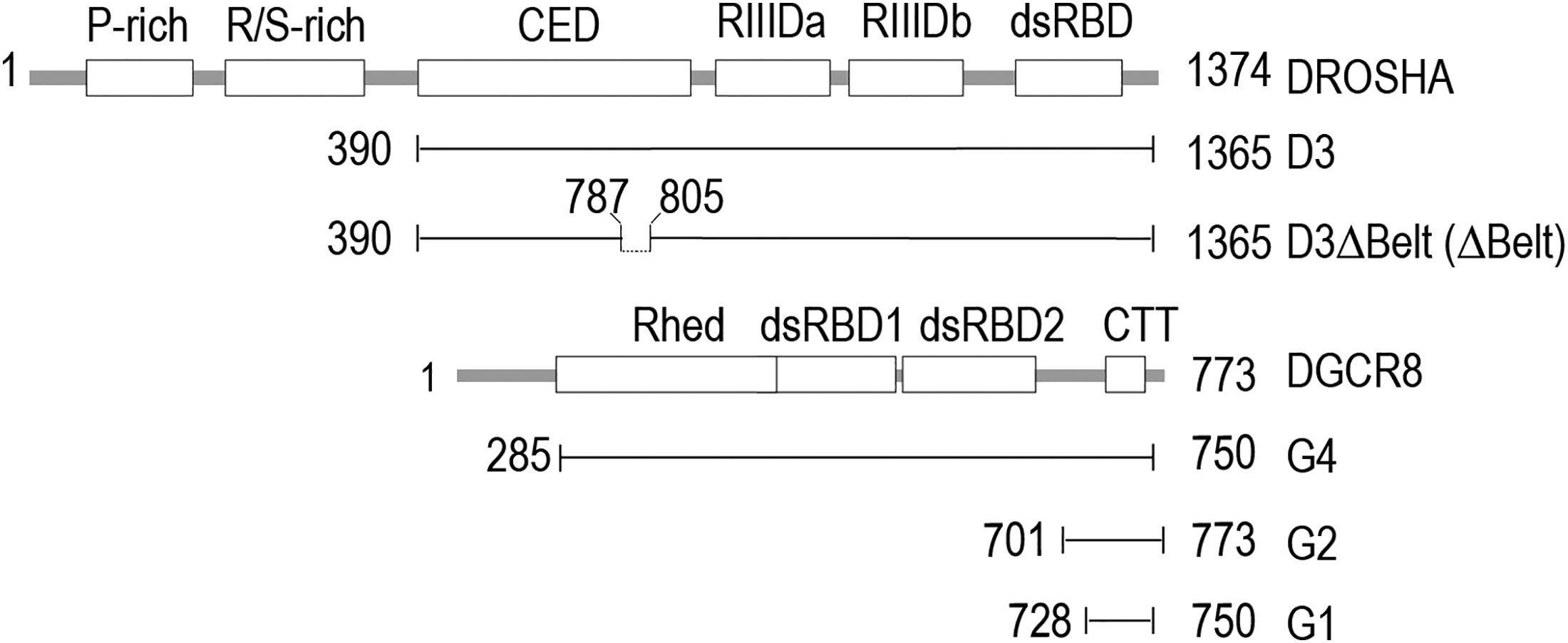 Cell Press: STAR Protocols