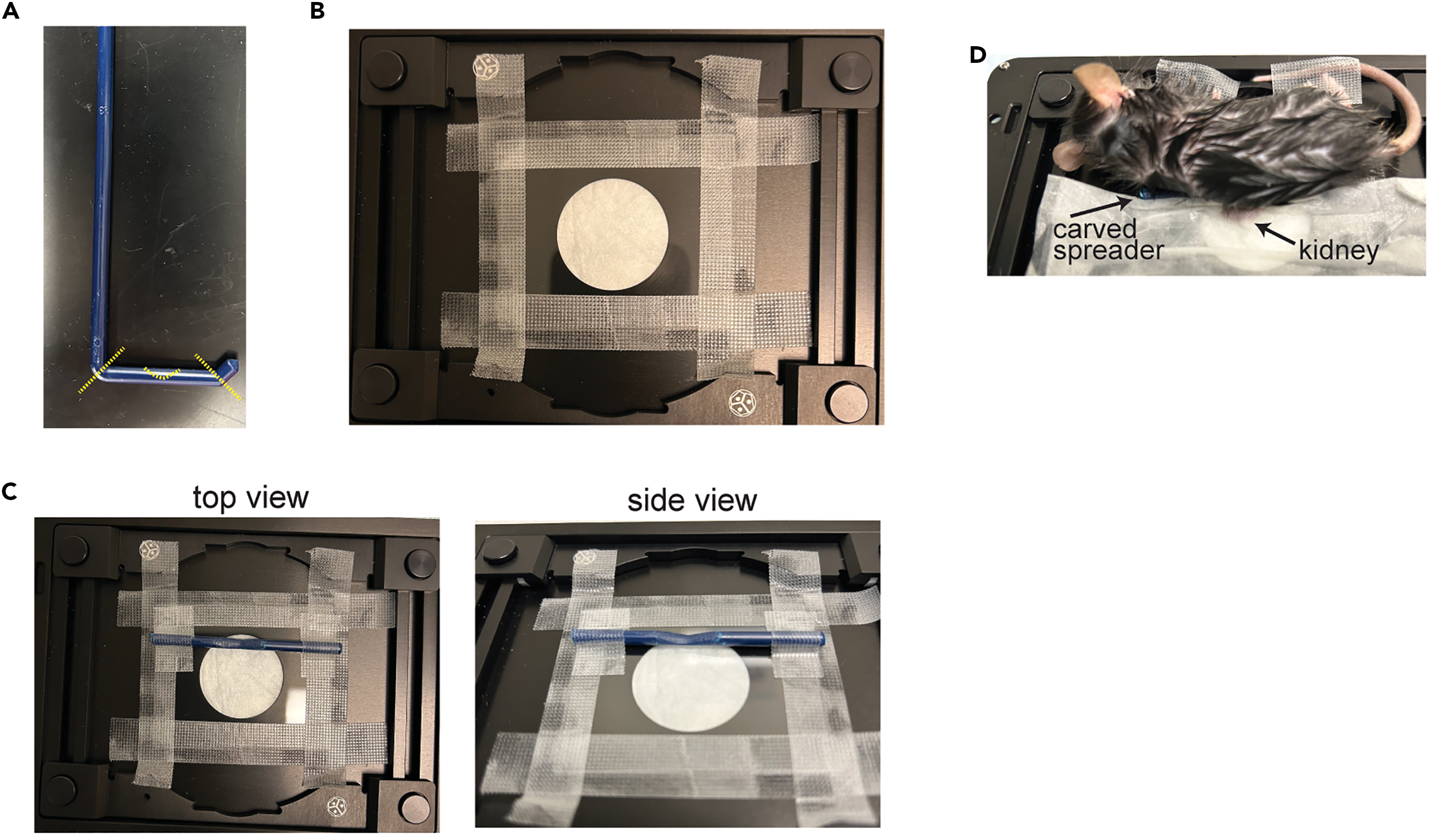 Cell Press: STAR Protocols